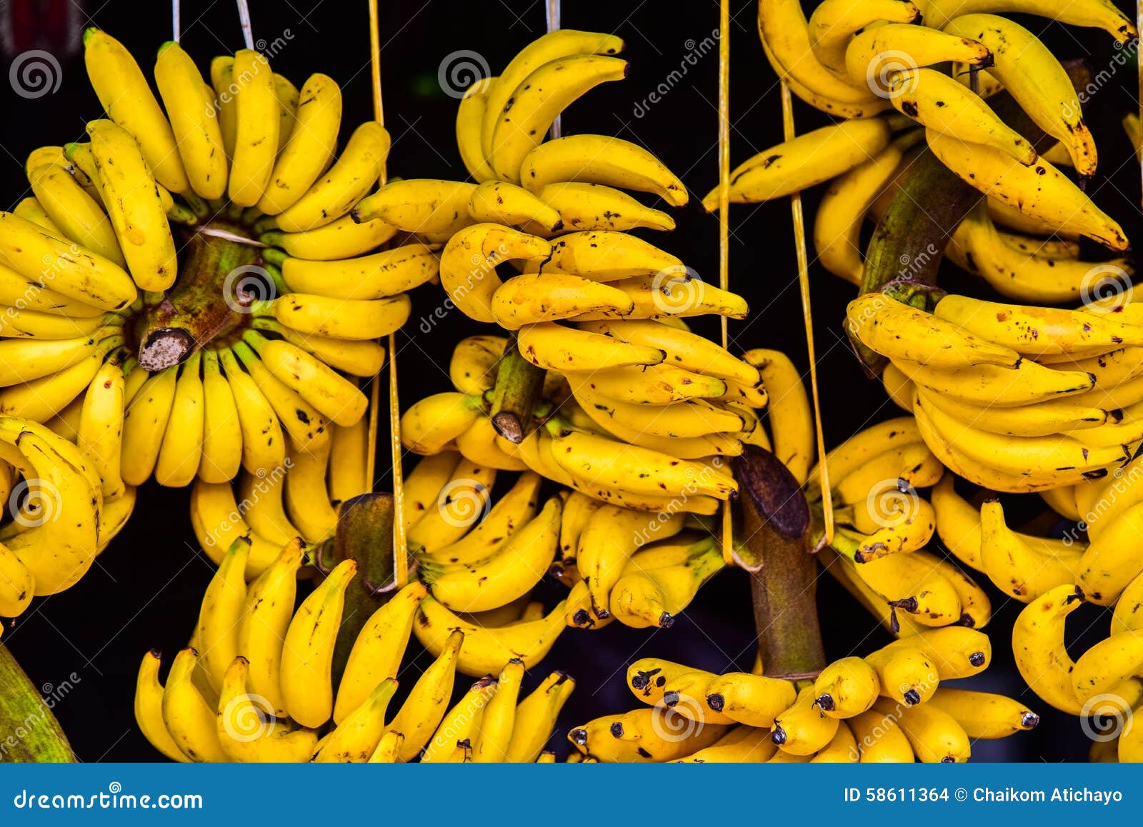 MANY BANANA COMB stock photo. Image of nature, goodies - 58611364