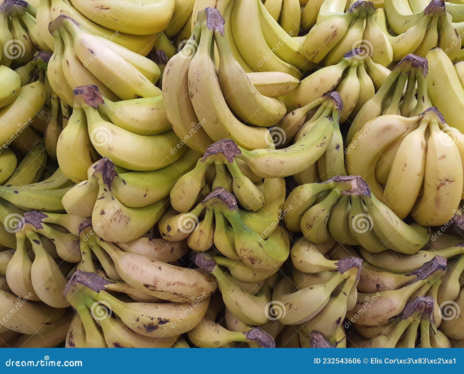 Many bananas on the market stock photo. Image of docve - 232543606