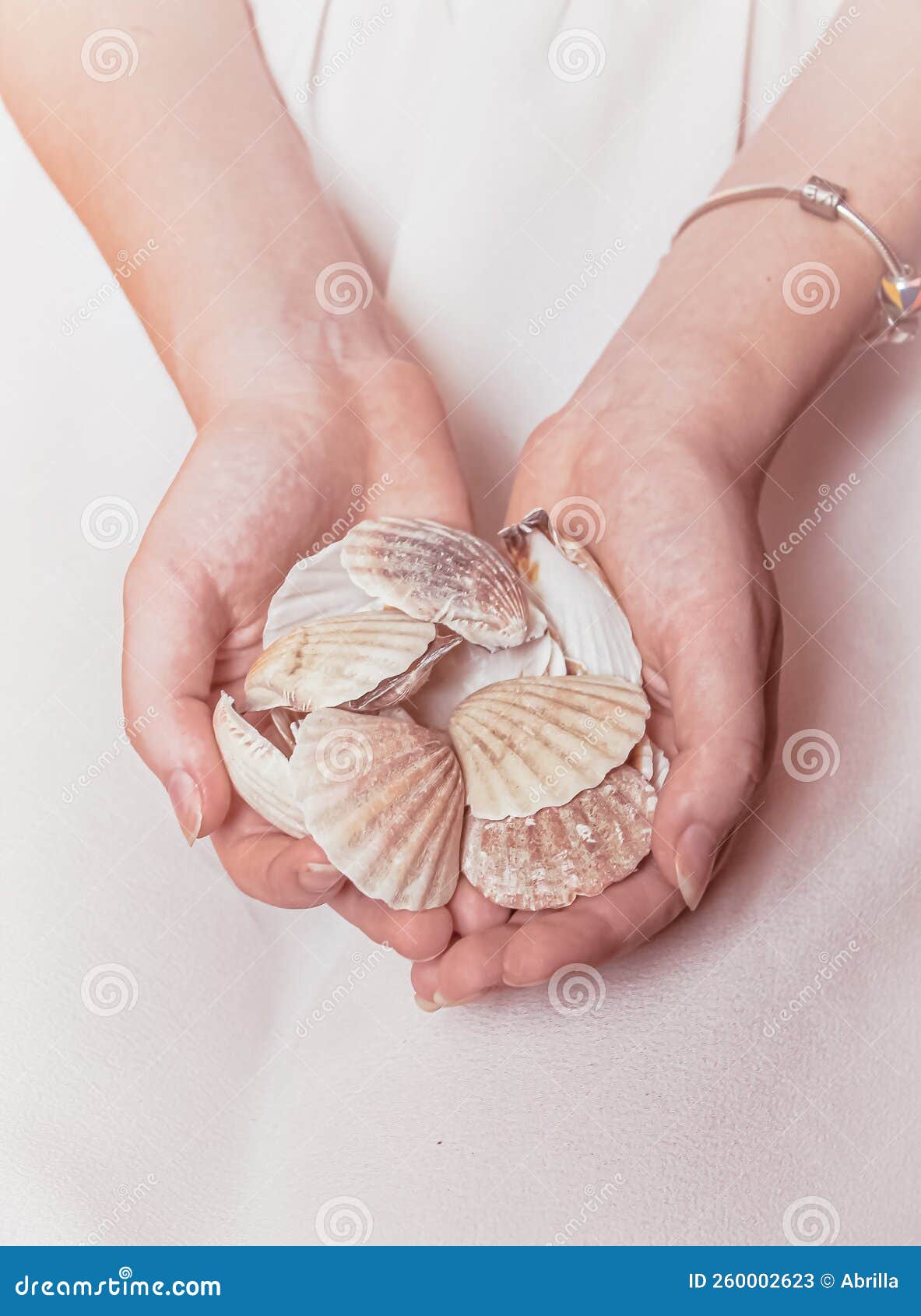 Many Beautiful Seashells in the Hands of the Girl Stock Image - Image ...