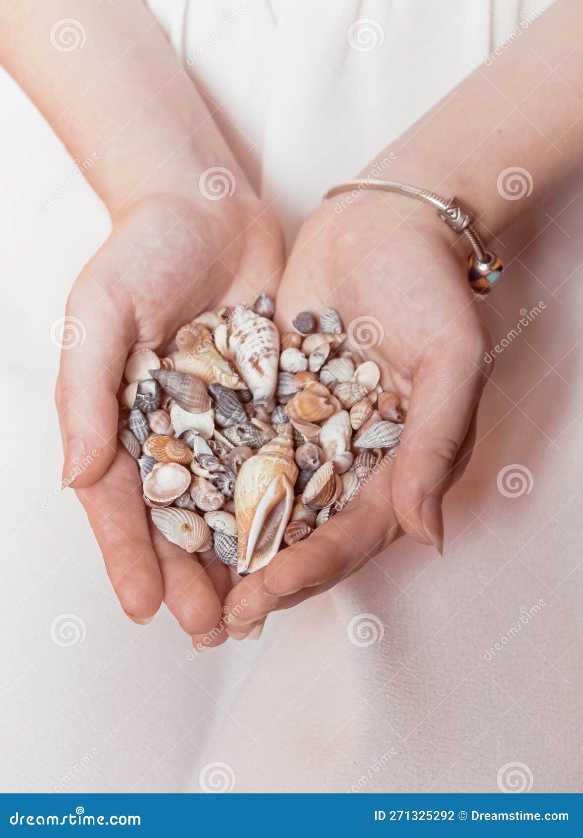 Many Beautiful Seashells in the Hands of the Girl Stock Photo - Image ...