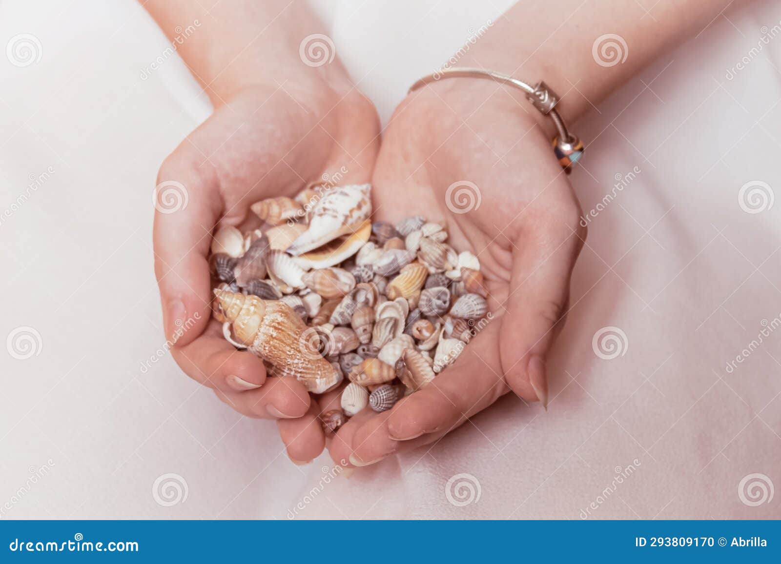 Many Beautiful Seashells in the Hands of the Girl Stock Photo - Image ...