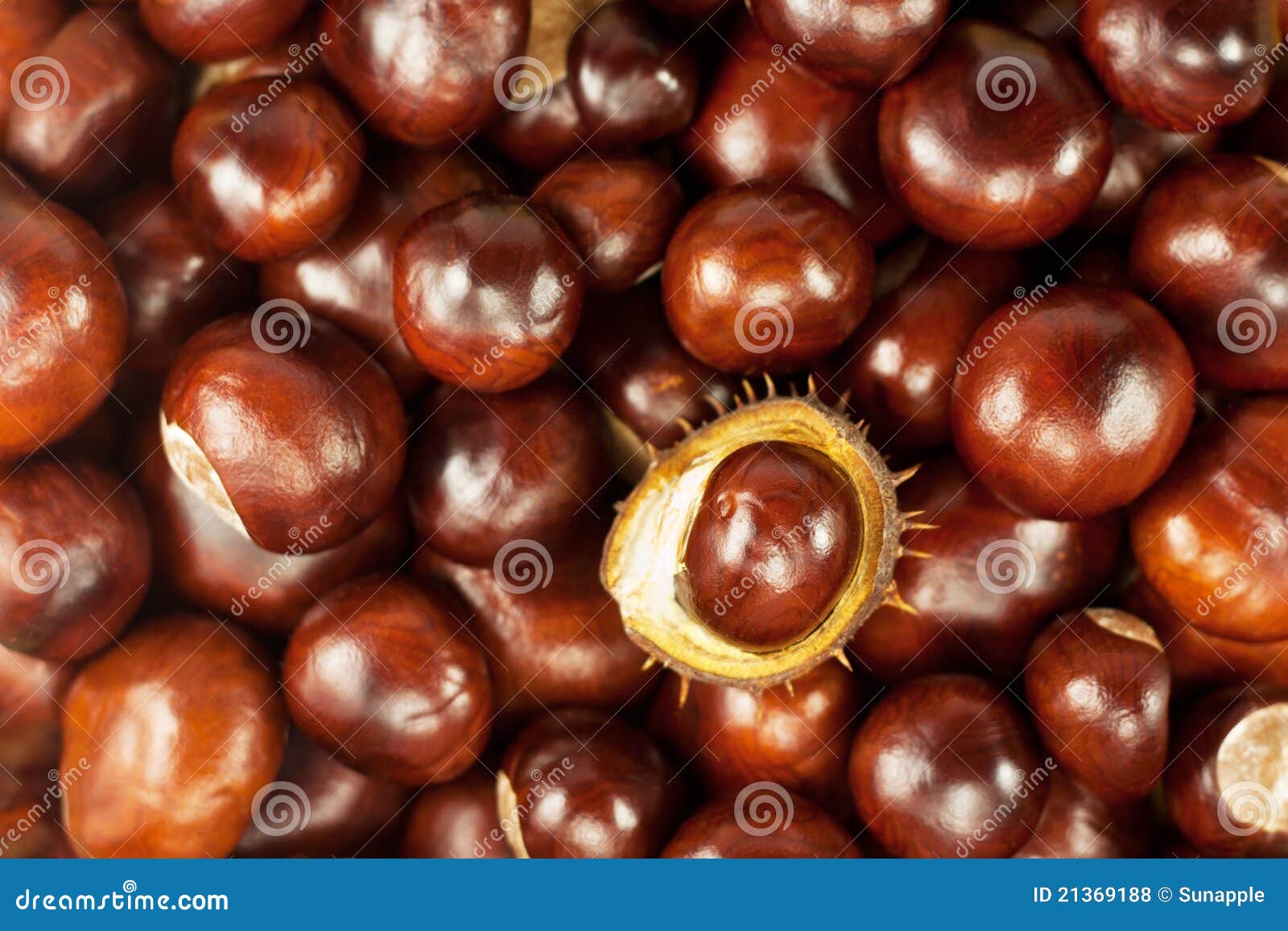 Many Beautiful Shiny Brown Chestnuts As Texture Stock Photo - Image of ...
