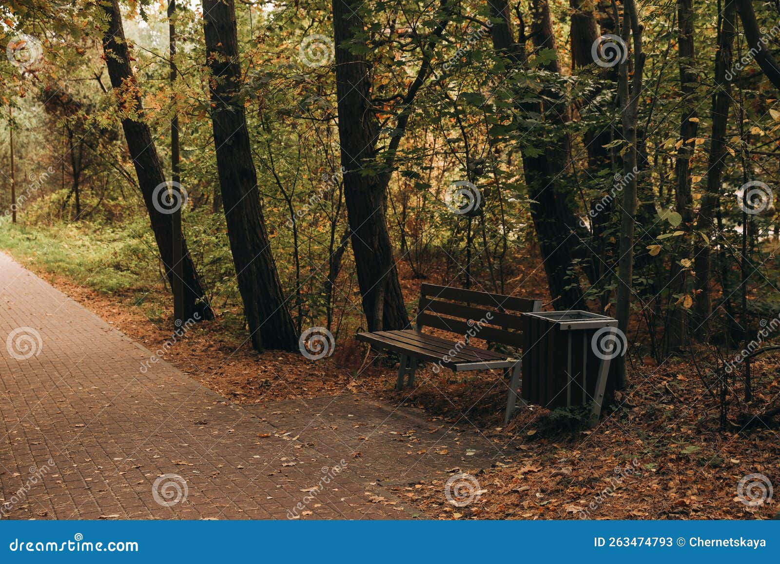 Many Beautiful Trees, Bench and Pathway in Autumn Park Stock Image ...
