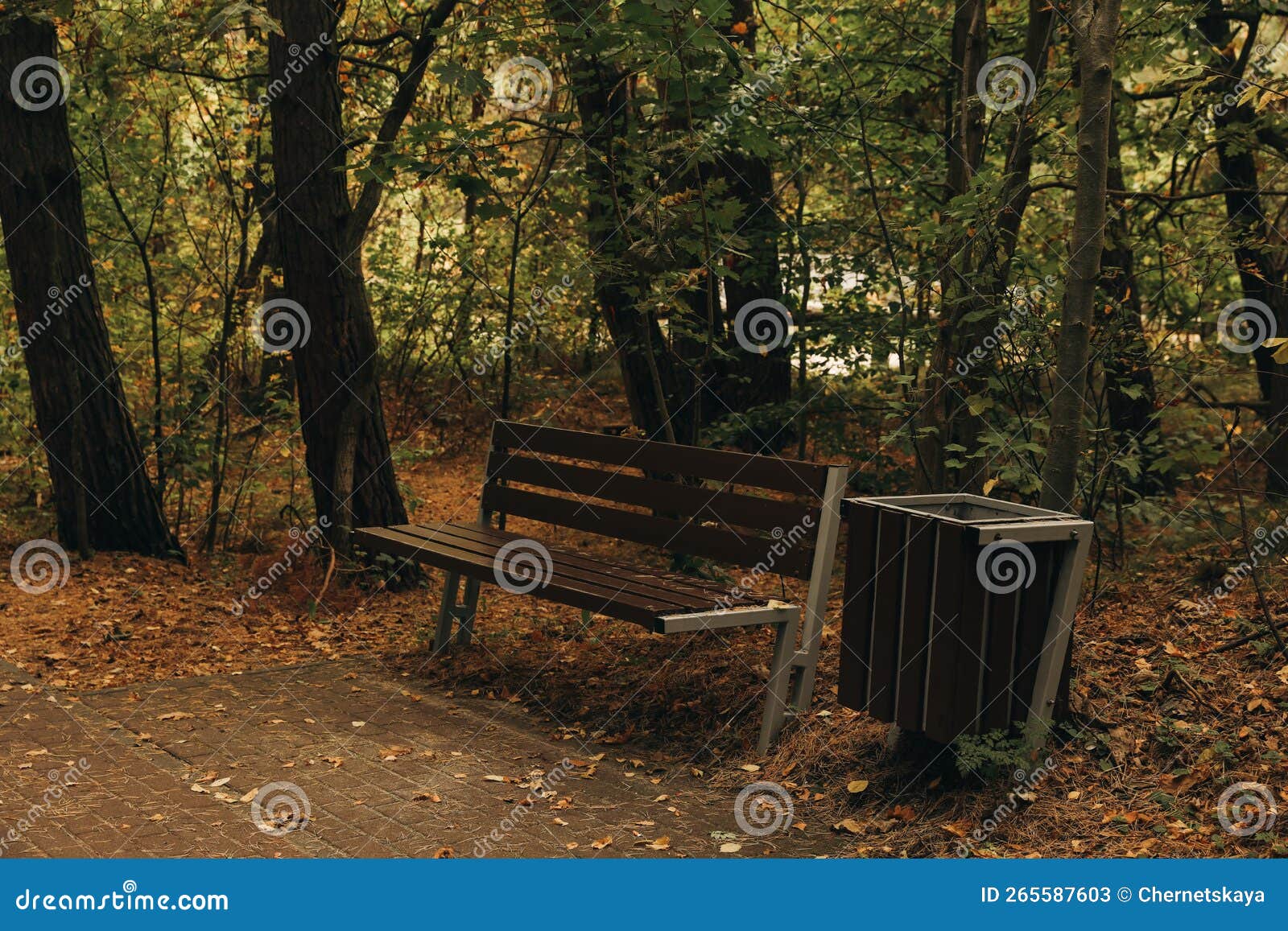Many Beautiful Trees, Bench and Pathway in Autumn Park Stock Image ...