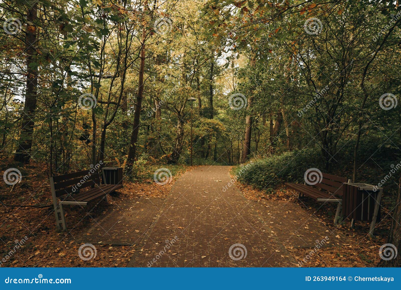 Many Beautiful Trees, Benches and Pathway in Autumn Park Stock Photo ...