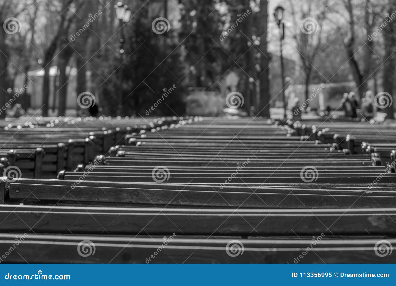 Many benches in line stock image. Image of architecture - 113356995