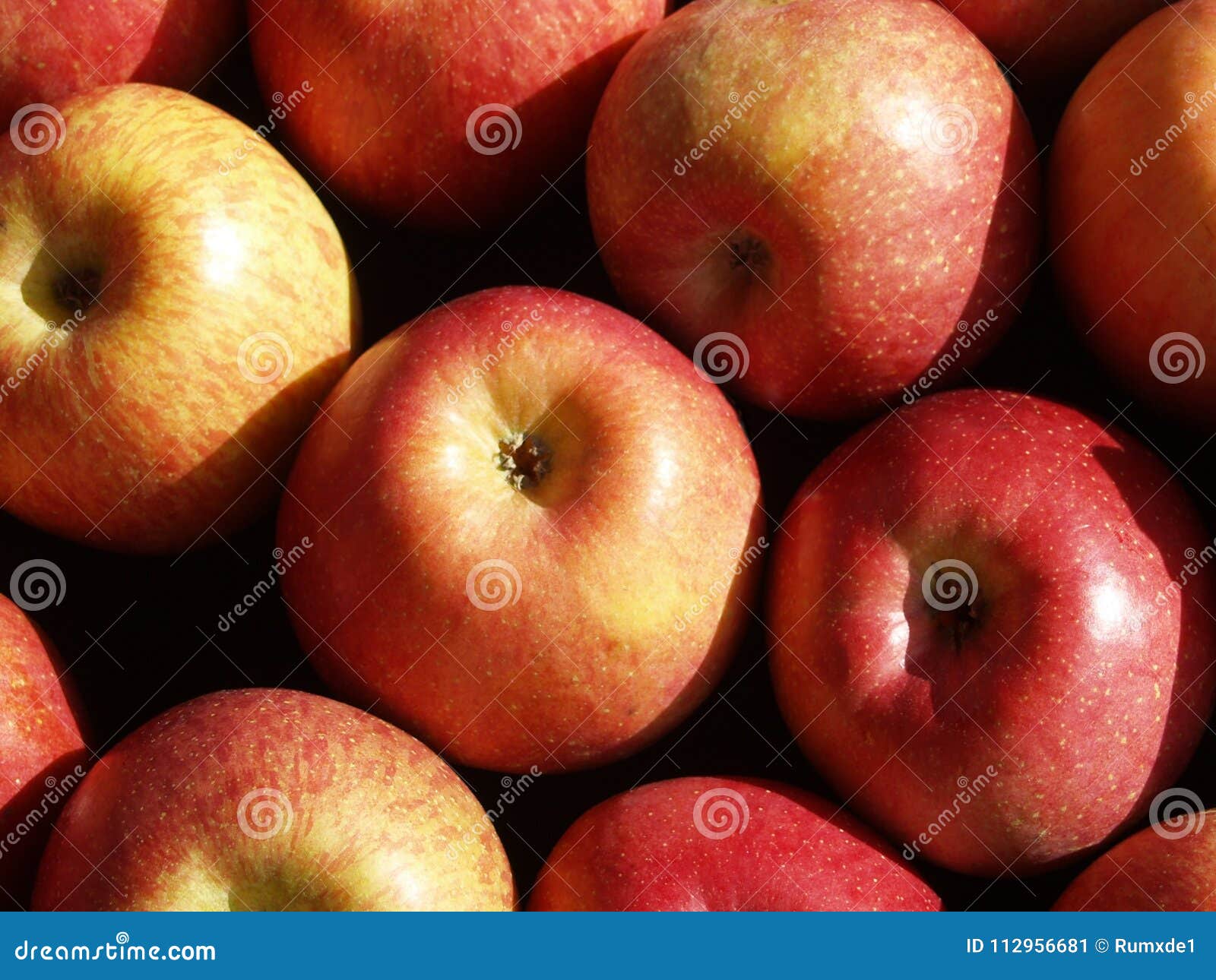 Juicy Ruby Red Cherries In Colored Cups Royalty-Free Stock Photography ...