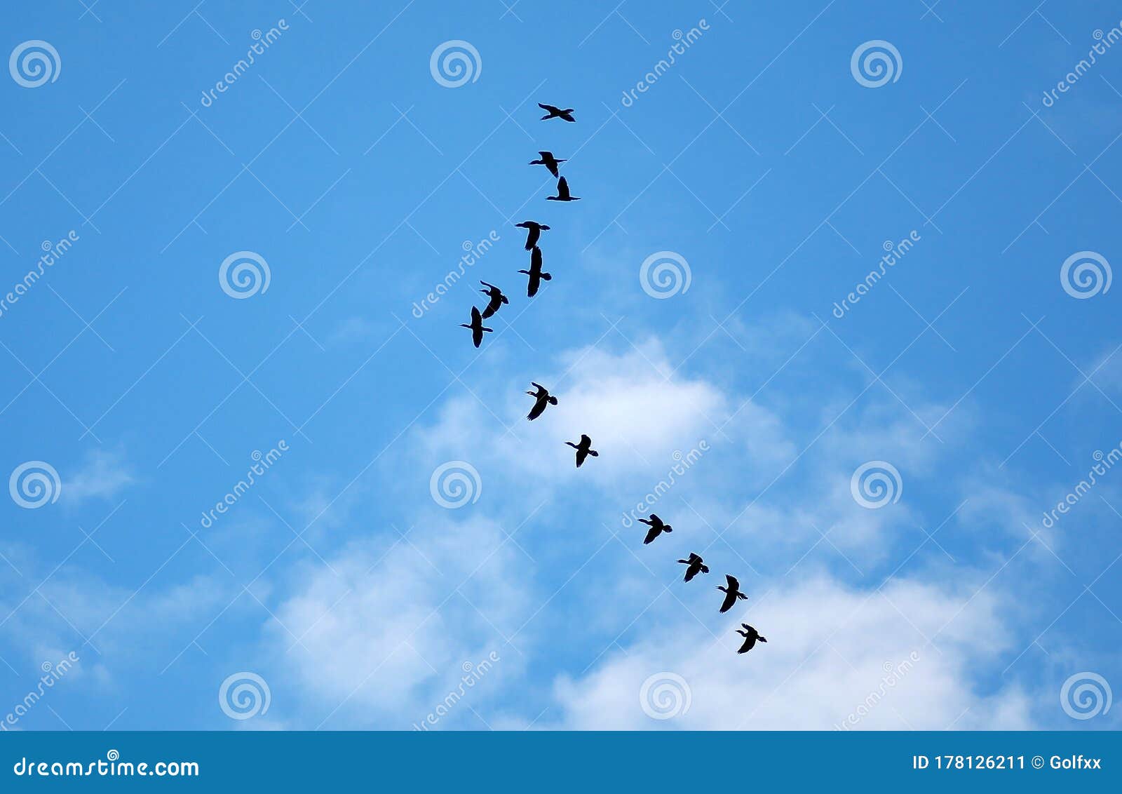 Many Birds Flying Up in the Cloud Sky Stock Image - Image of flight ...
