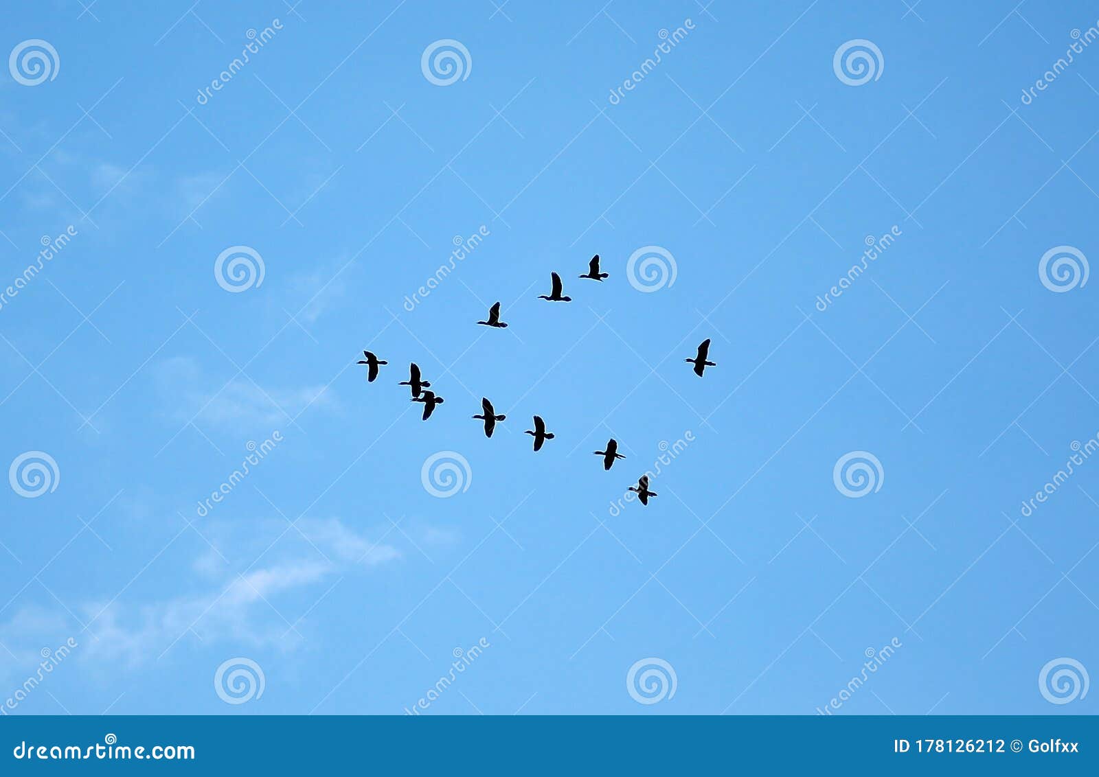 Many Birds Flying Up in the Cloud Sky Stock Photo - Image of high ...