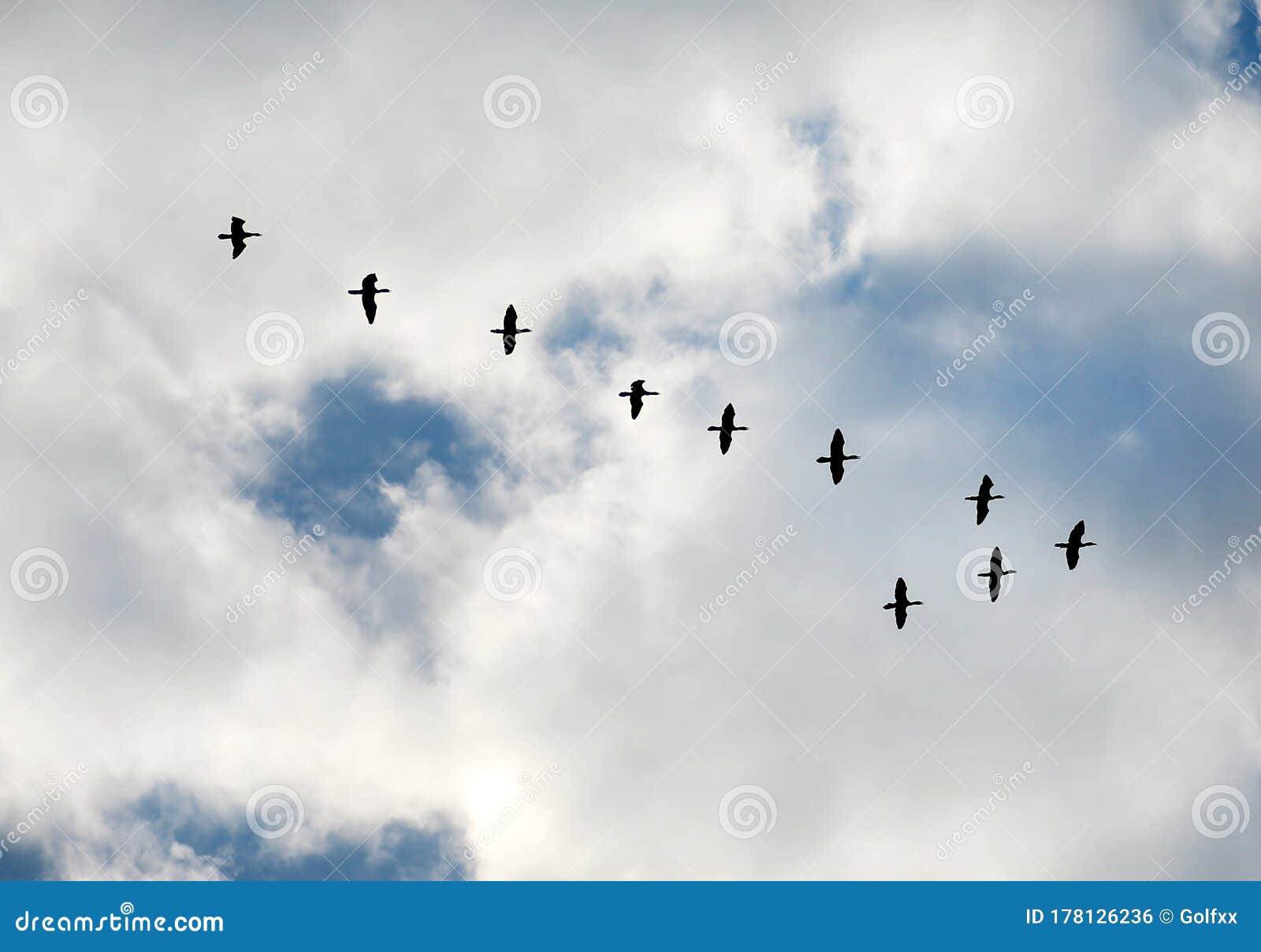 Many Birds Flying Up in the Cloud Sky Stock Photo - Image of high ...