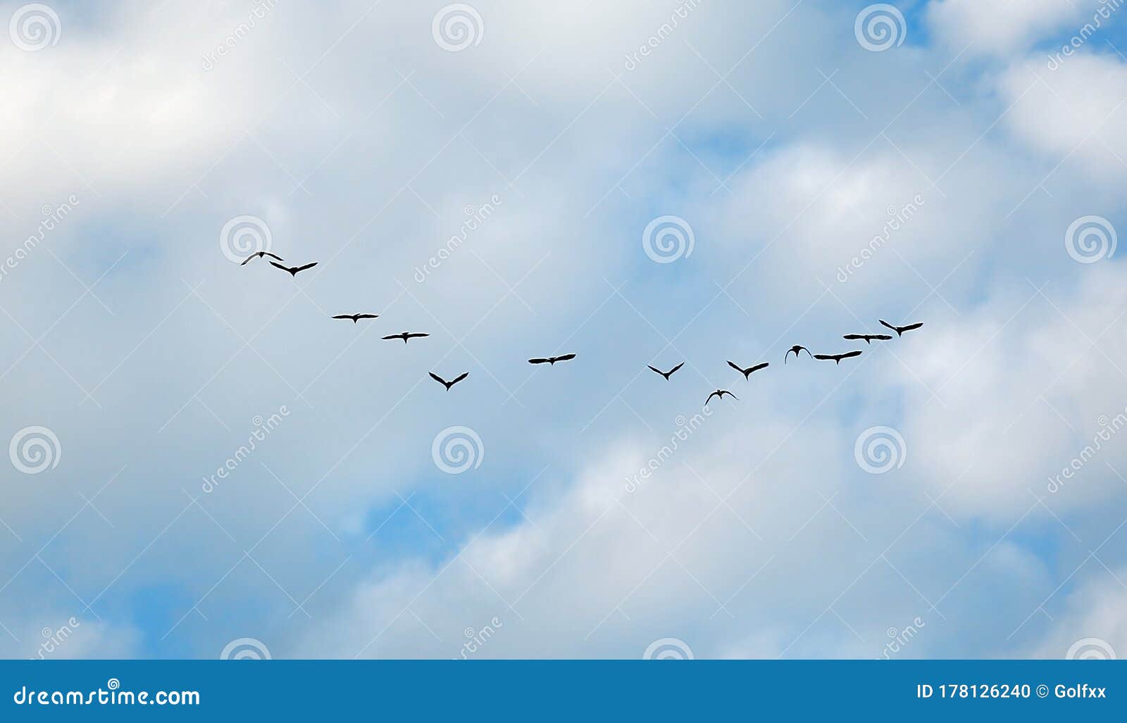 Many Birds Flying Up in the Cloud Sky Stock Photo - Image of flock ...