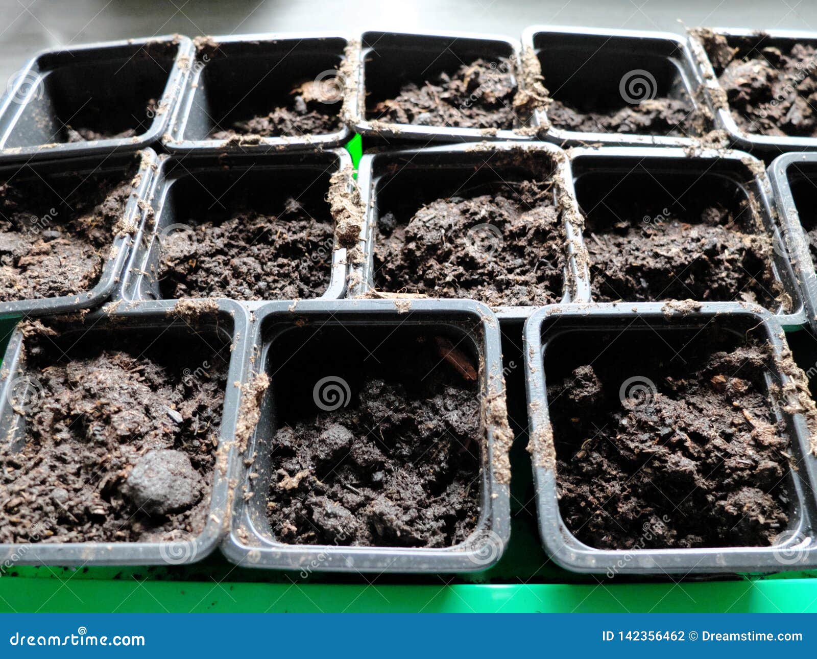 Many Black Boxes for Sprout in a Special Green Container. Close-up ...