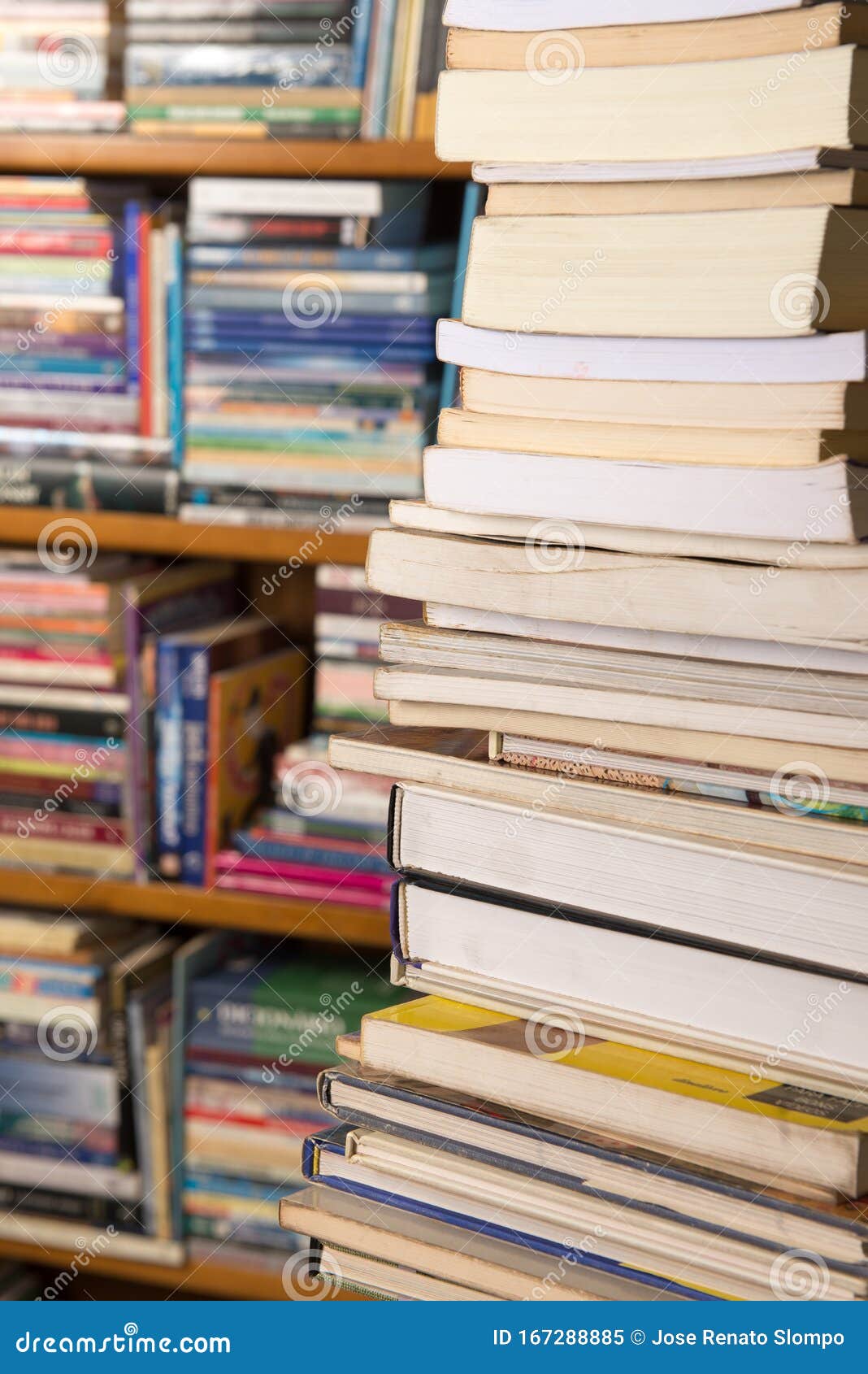 Many books on book shelves stock image. Image of library - 167288885