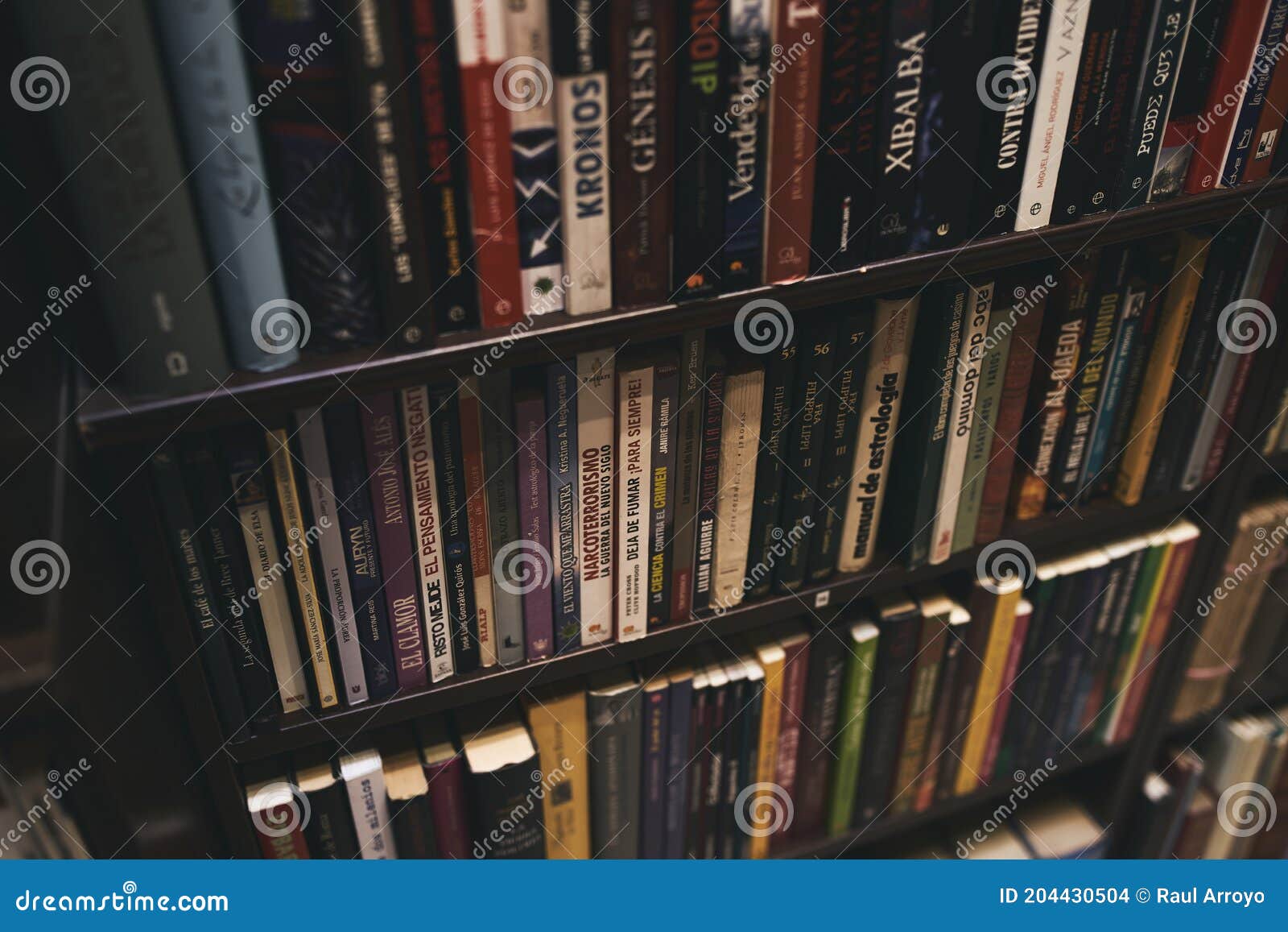 Many books on a shelf editorial stock image. Image of colors - 204430504