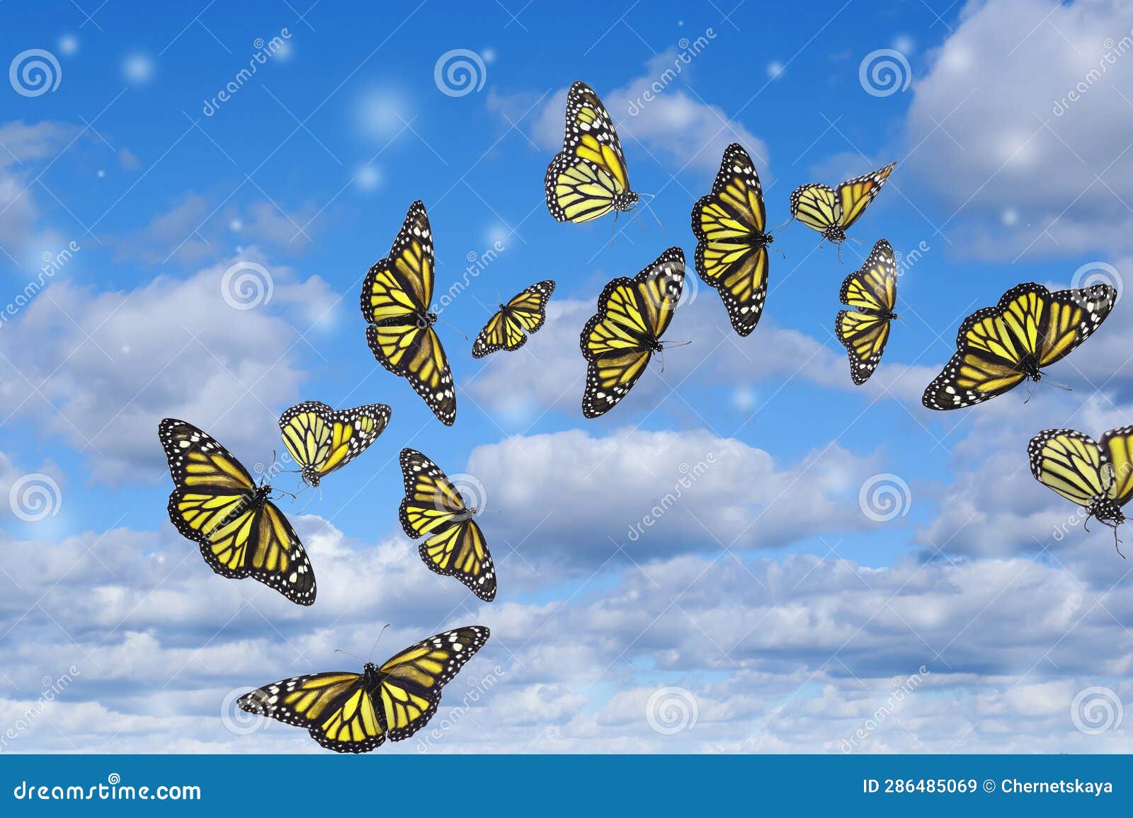 Many Beautiful Butterflies Flying in Blue Sky Stock Image - Image of ...