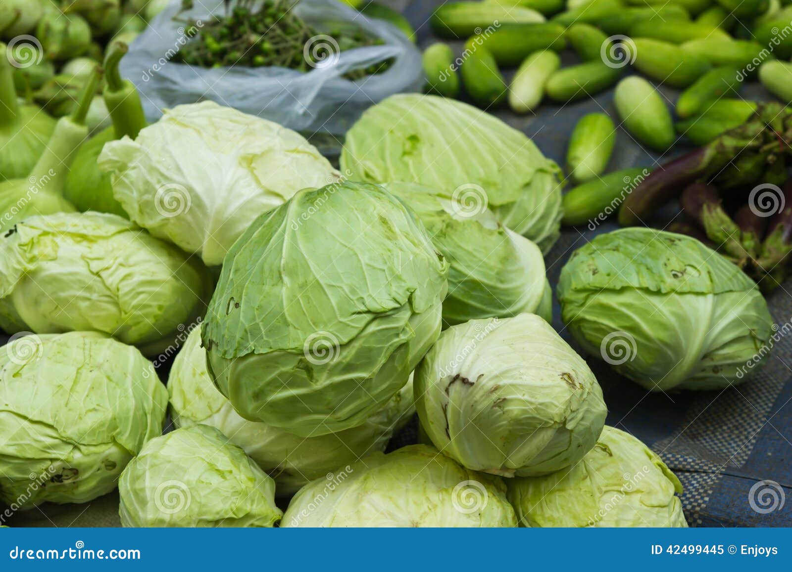 Many Cabbage stock image. Image of kale, single, harvest - 42499445