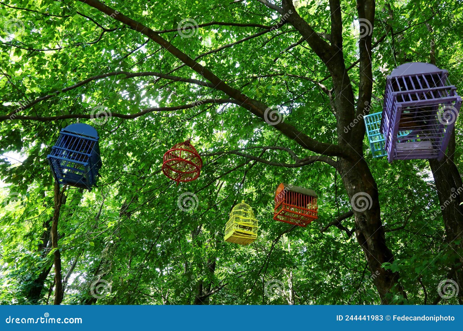 Many Cages for Birds in the Forest Stock Image - Image of escape, trees ...
