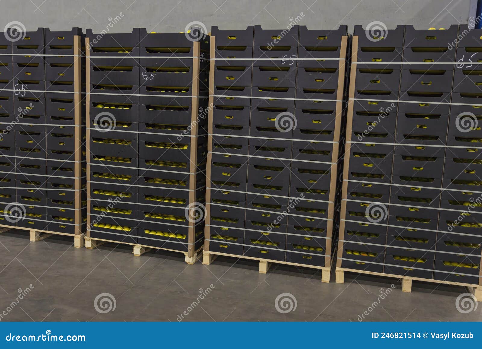 Many Cardboard Boxes with Apples Inside Stock Photo - Image of nature ...