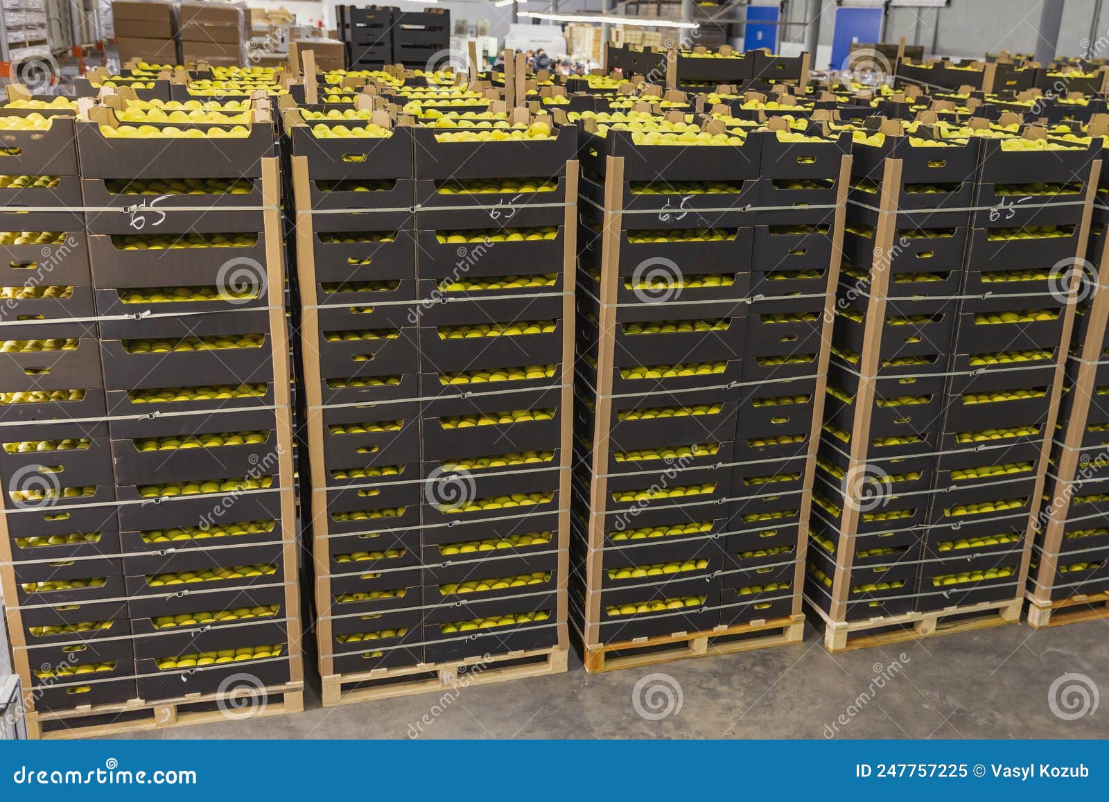Many Cardboard Boxes with Apples Inside Stock Image - Image of organic ...