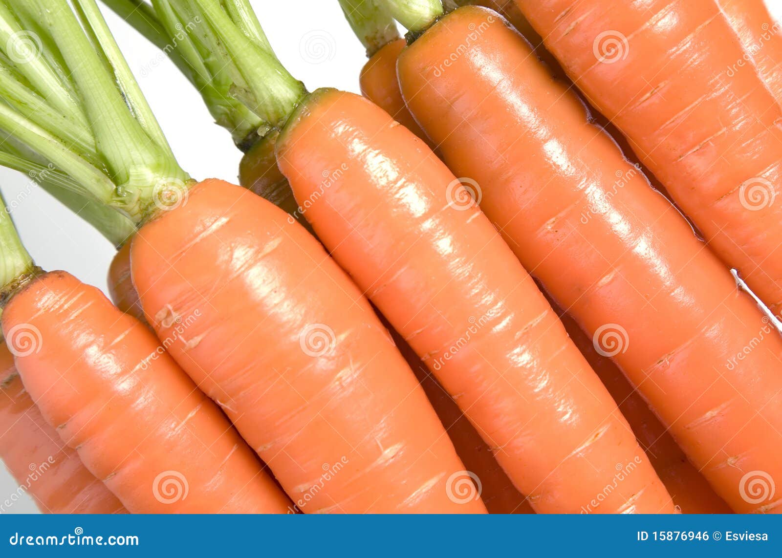 Many Carrots with Green Leaves Stock Photo - Image of organic ...