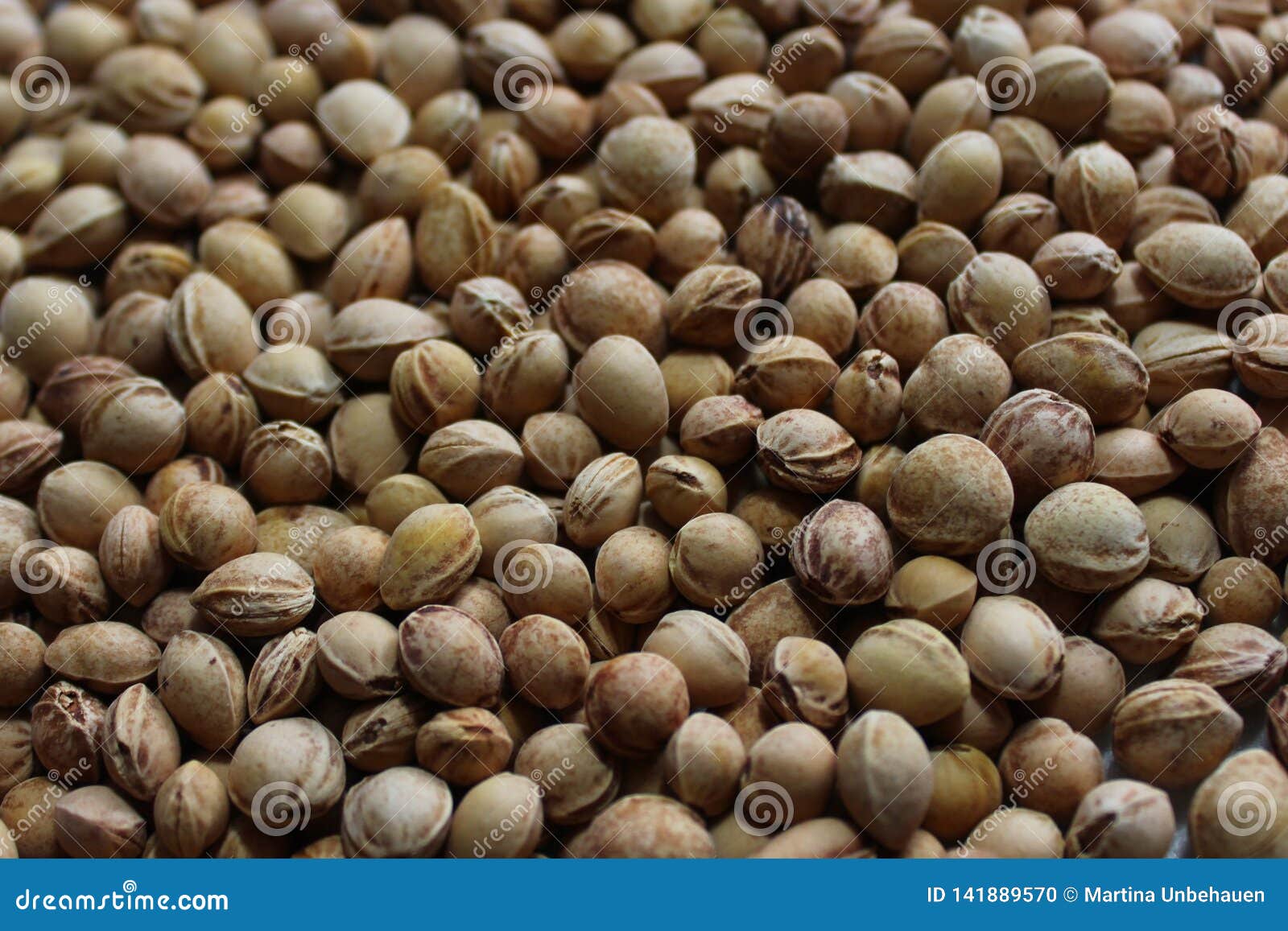 Many cherry stones stock photo. Image of cherries, stones - 141889570