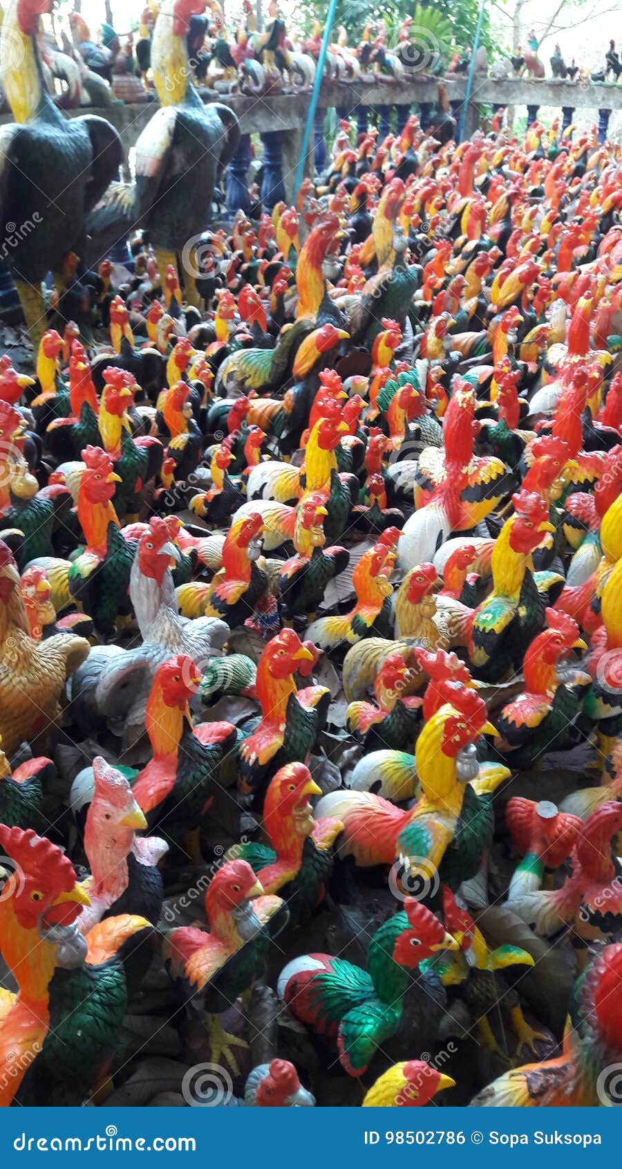 Many chickens stock photo. Image of rayong, klaeng, hill - 98502786