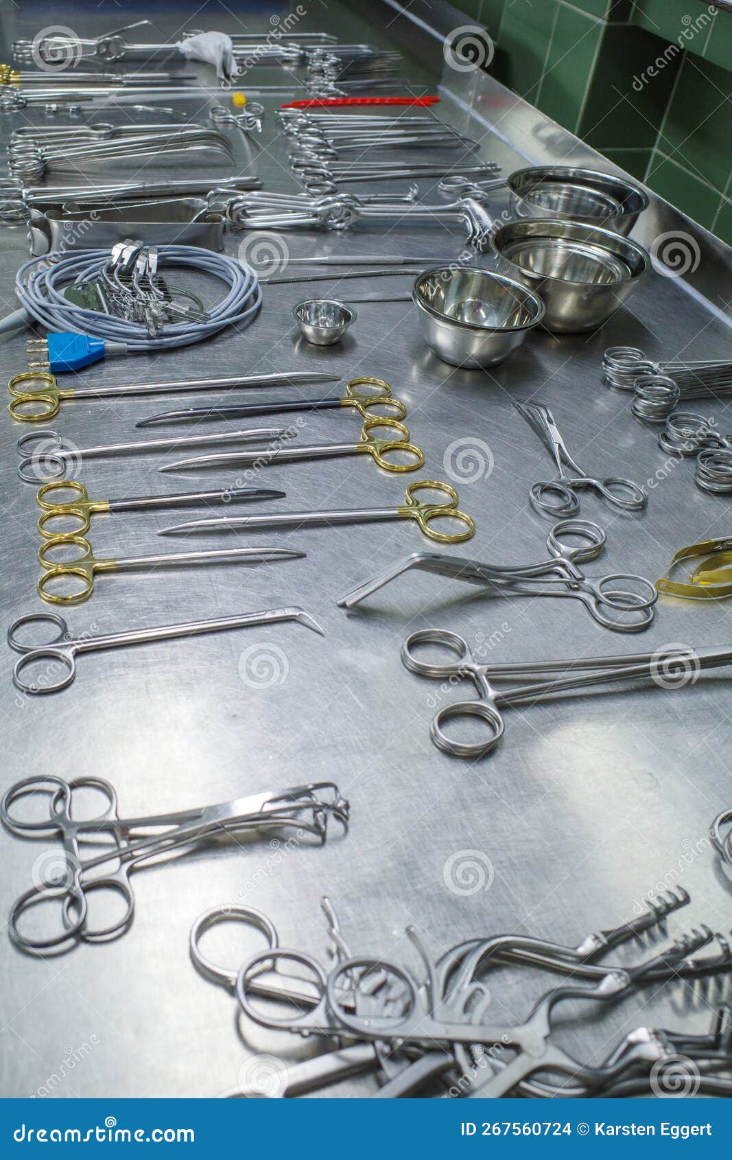 Many Cleaned Instruments for Performing Vascular Surgery Lie on a Metal ...