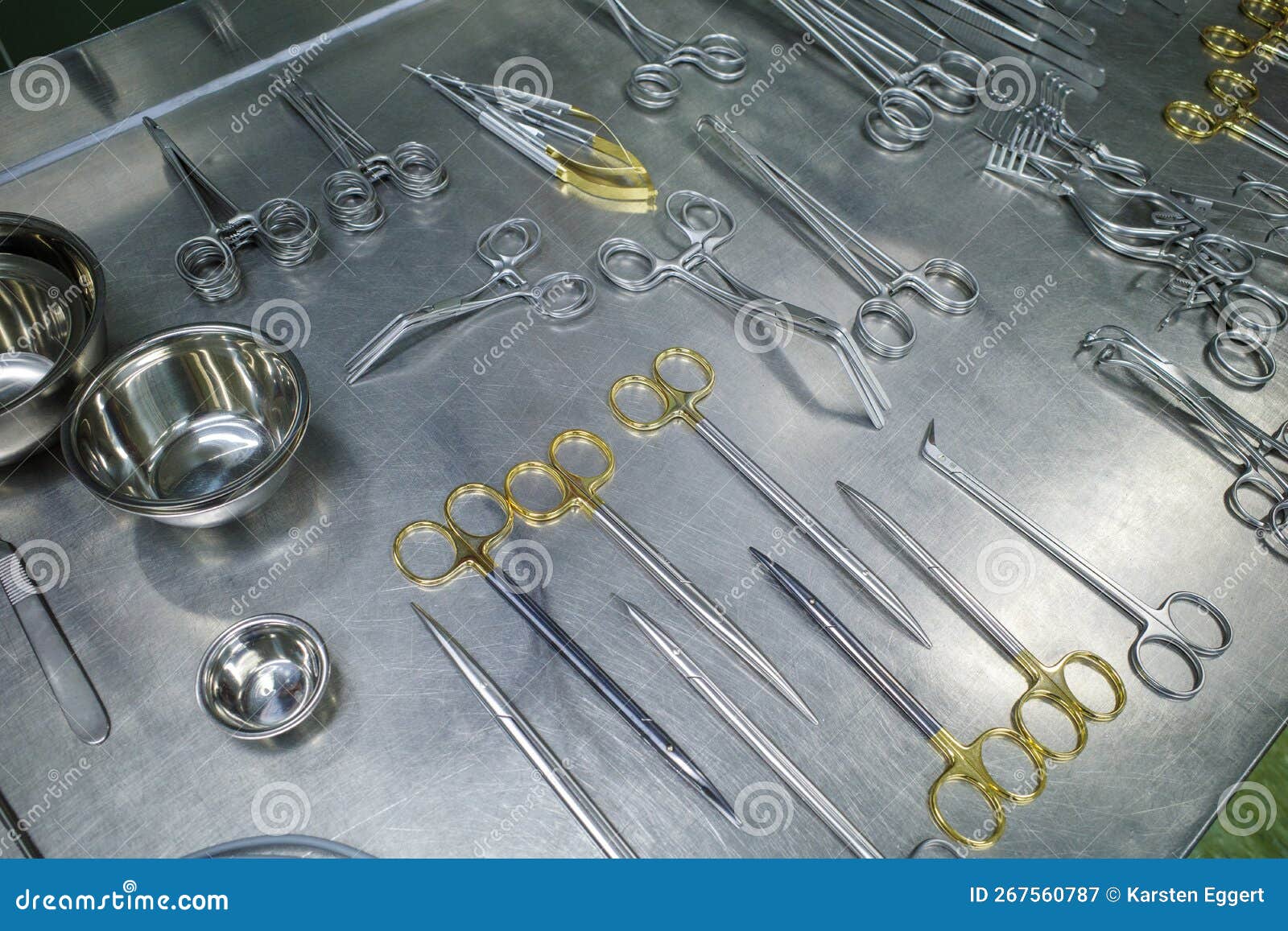 Many Cleaned Instruments for Performing Vascular Surgery Lie on a Metal ...