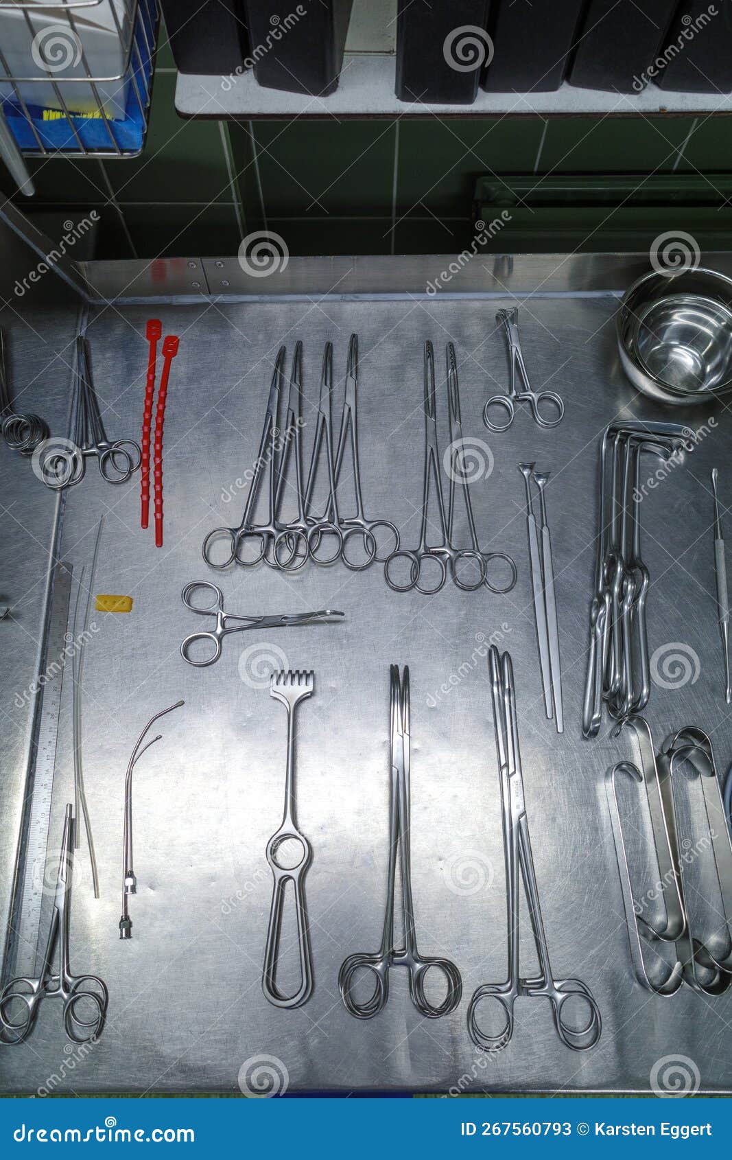 Many Cleaned Instruments for Performing Vascular Surgery Lie on a Metal ...