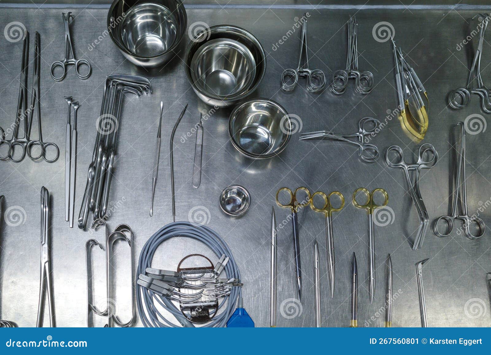 Many Cleaned Instruments for Performing Vascular Surgery Lie on a Metal ...