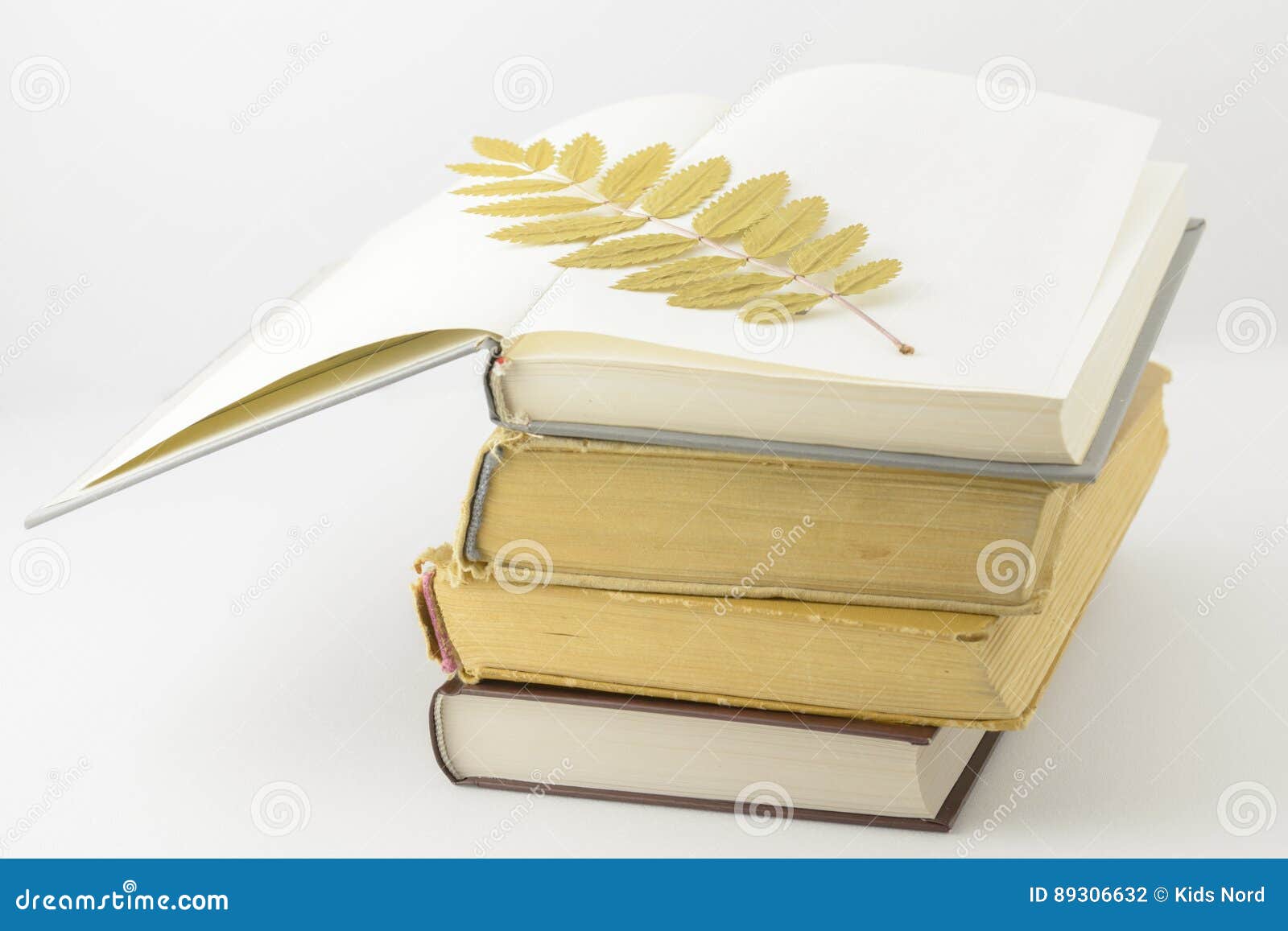 Many Closed Books Lying on a White Background.One Open Book Stock Photo ...