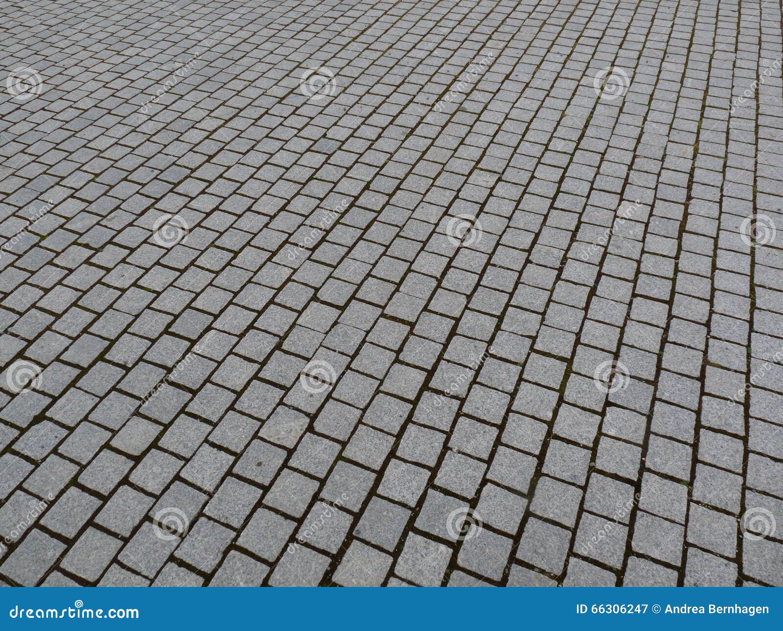 Many Cobblestones, a Paved Square Stock Image - Image of square ...