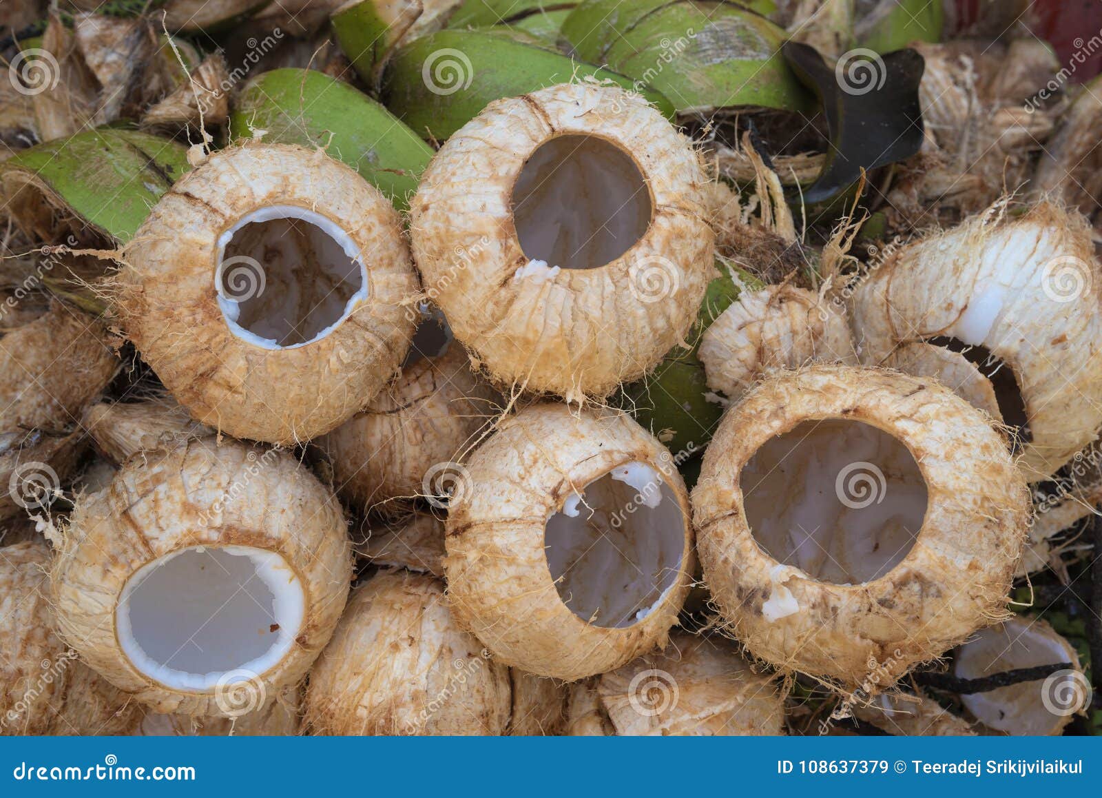 Many Coconut Shells after Peeling and Cutting the Top Stock Image ...