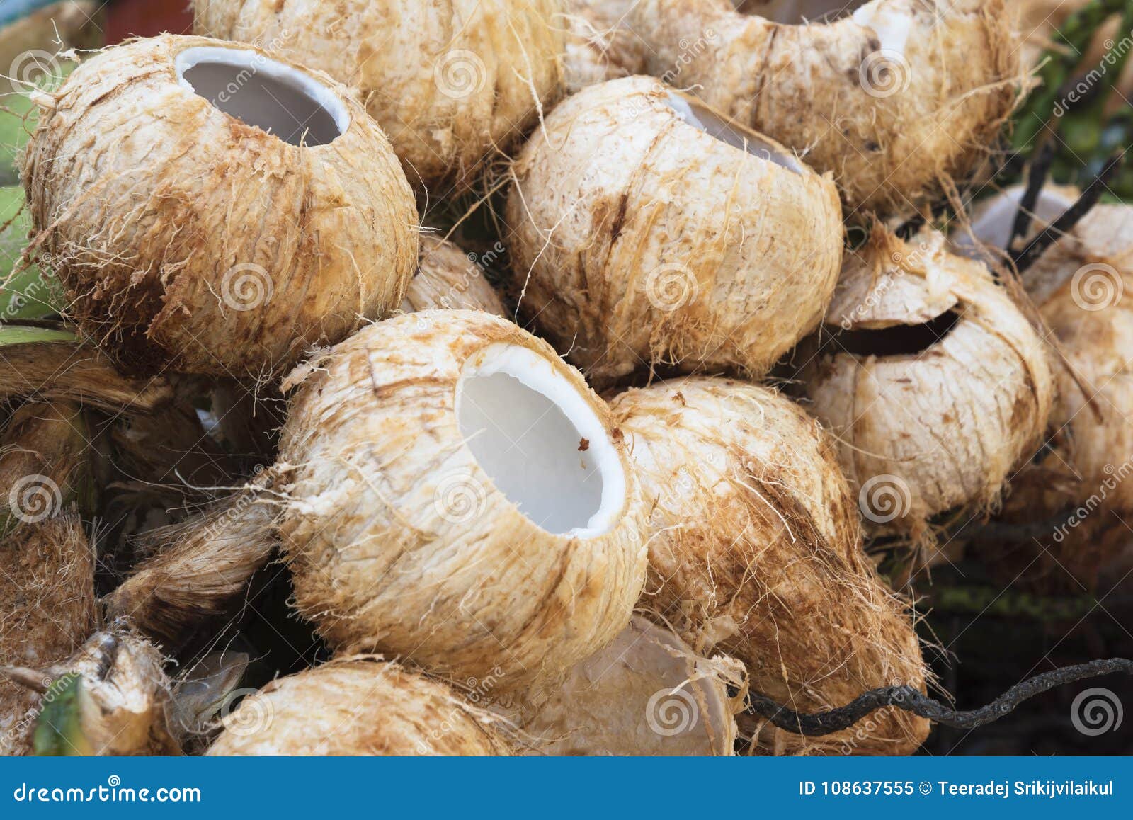 Many Coconut Shells after Peeling and Cutting the Top Stock Image ...