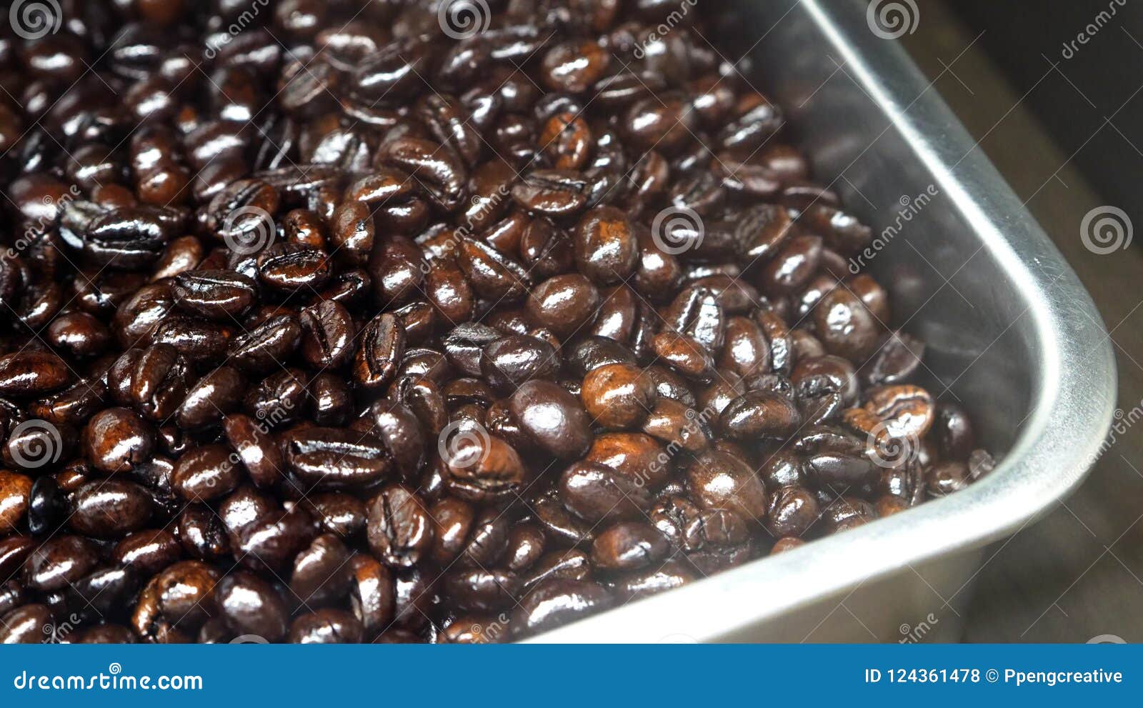 Many Coffee Beans from Excellent Source Stock Photo - Image of machine ...