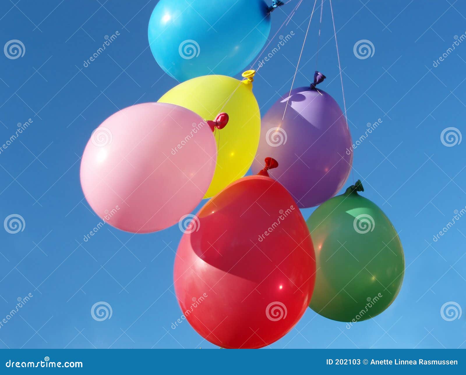 Many colored balloons stock image. Image of decoration - 202103