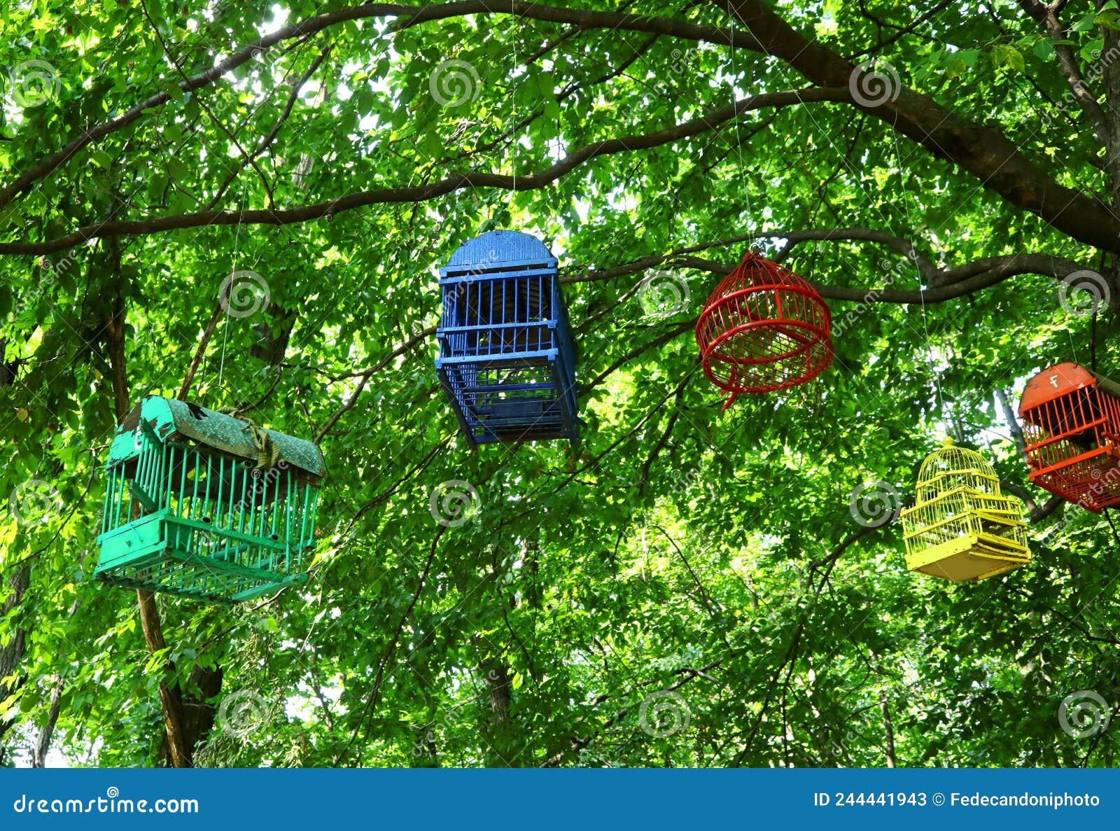 Many Colored Cages for Birds in the Forest Stock Image - Image of ...