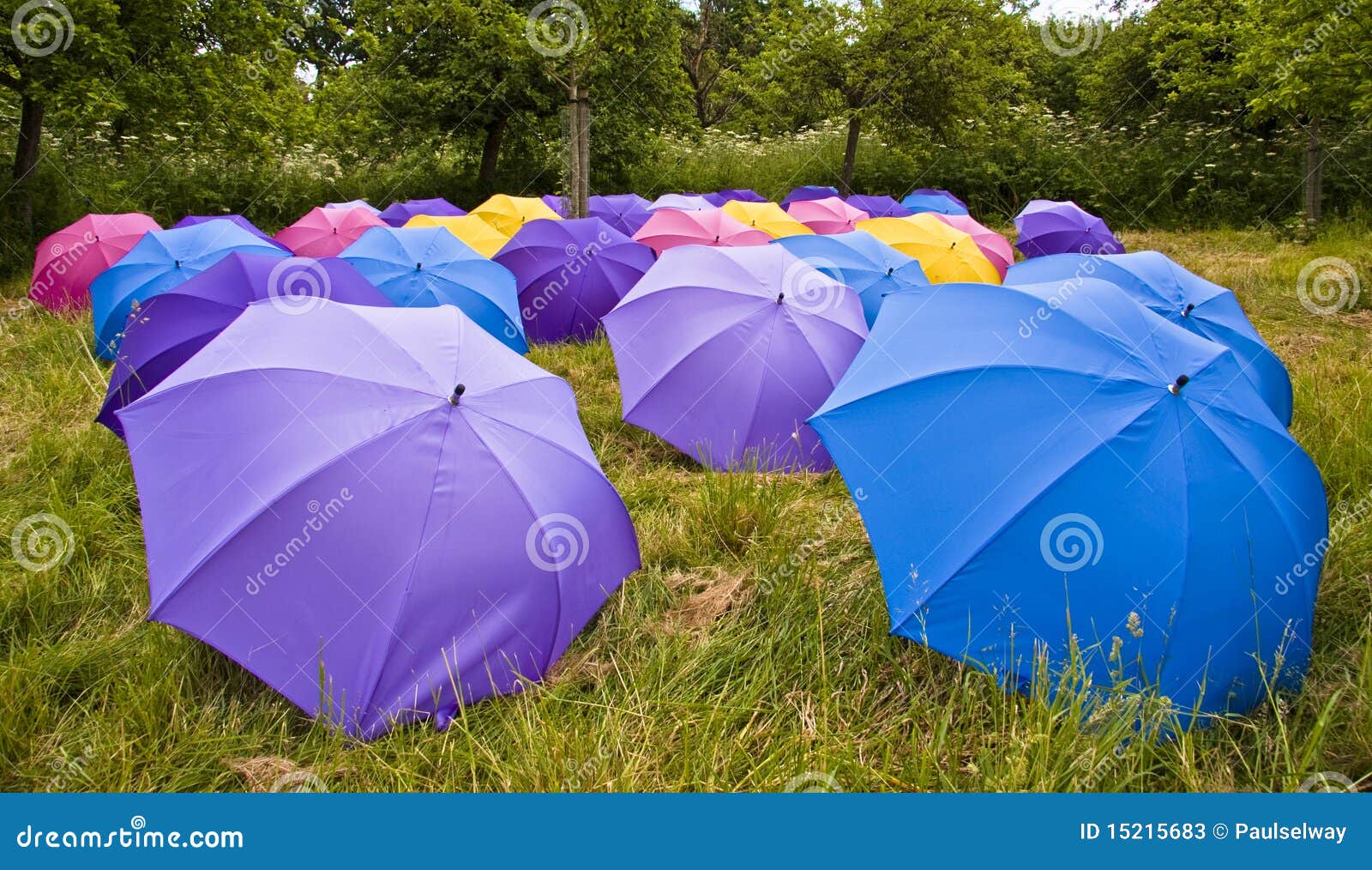 Many Coloured Open Umbrellas Stock Image - Image of field, umbrellas ...