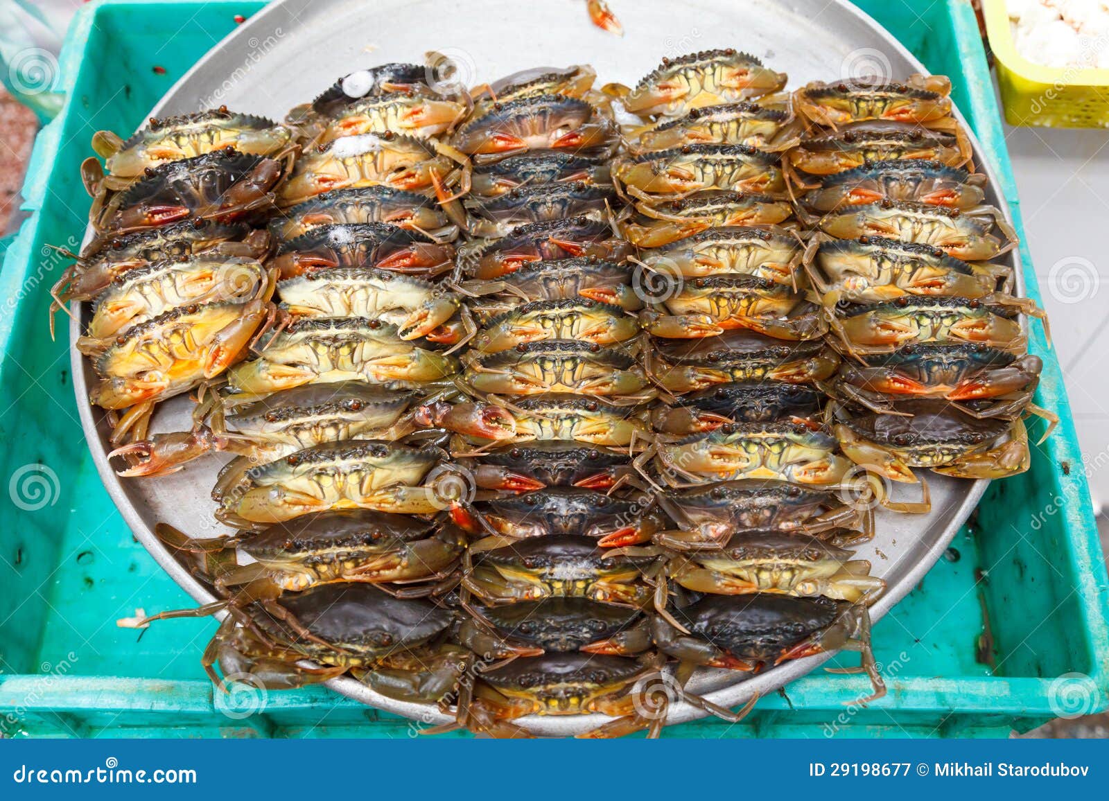 Many crabs stacked in rows stock image. Image of shell - 29198677