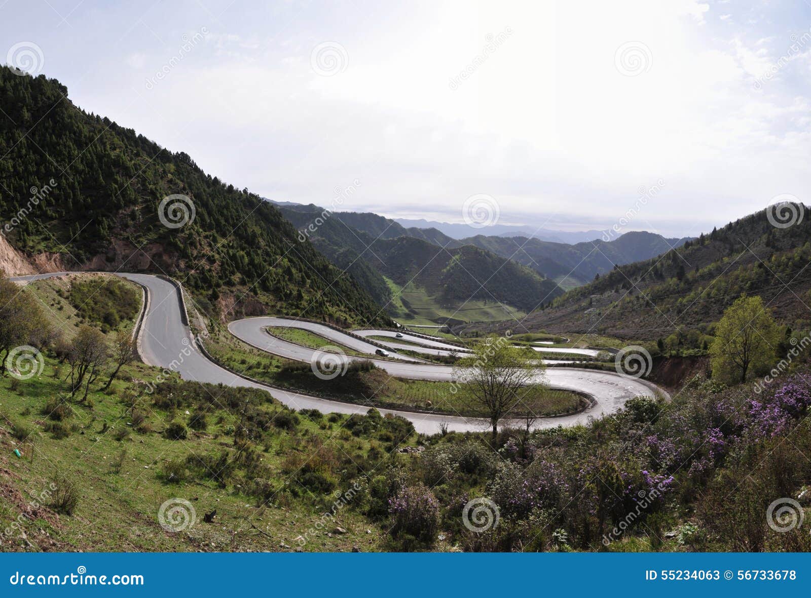 Many curve road stock image. Image of road, asphalt, panorama - 55234063