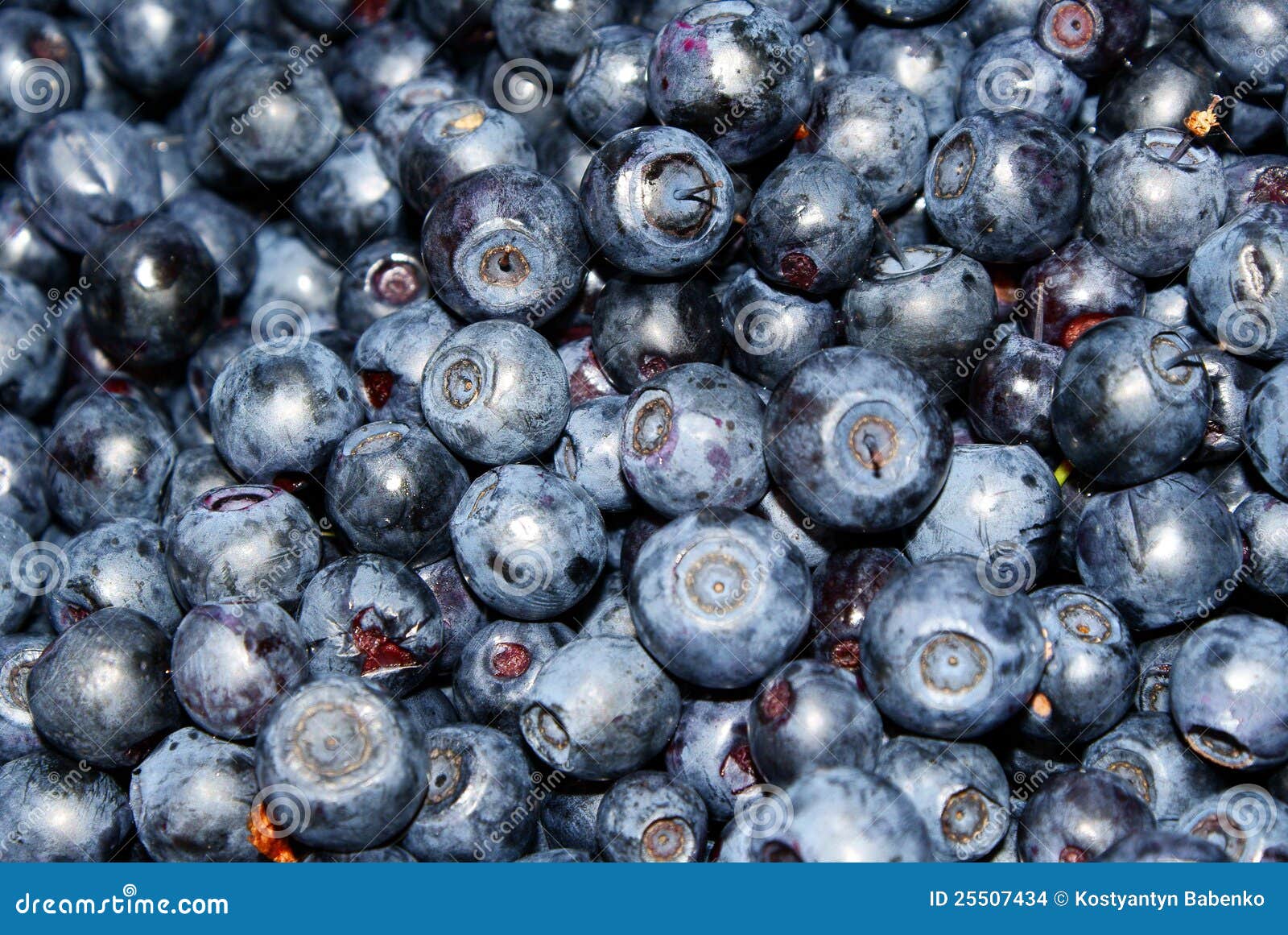 Many dark-blue blueberries stock photo. Image of tasty - 25507434