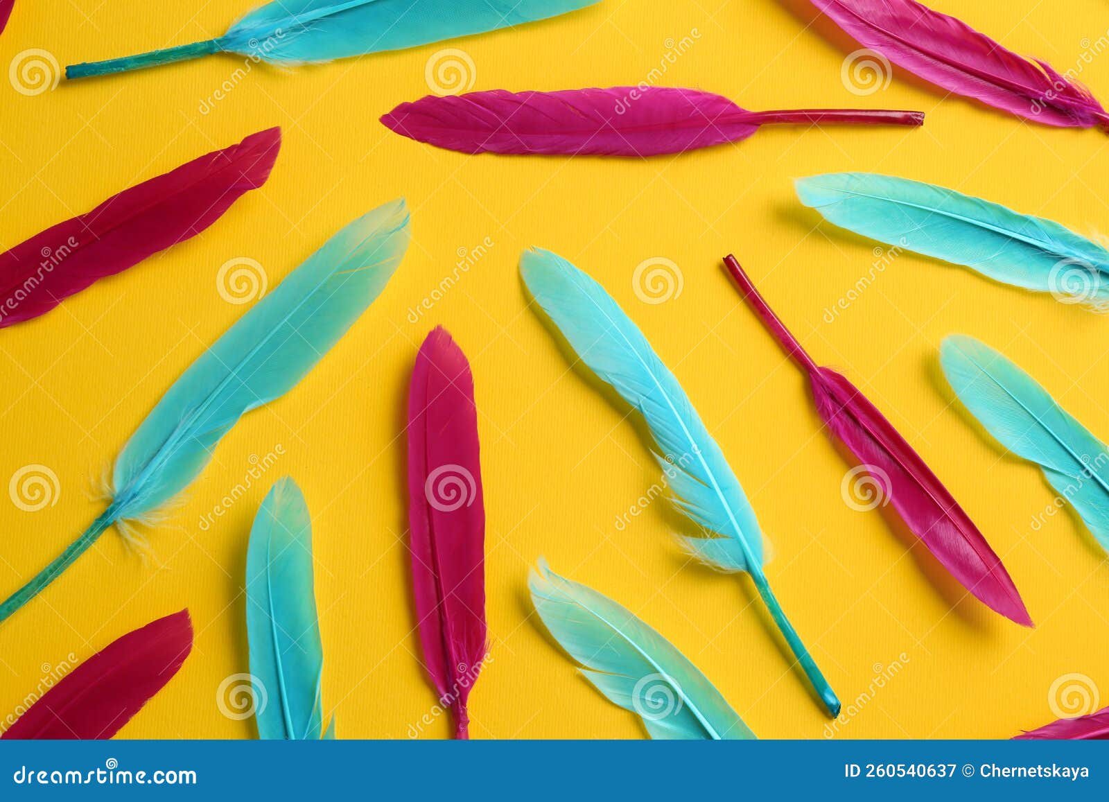 Many Different Bright Feathers on Yellow Background, Flat Lay Stock ...