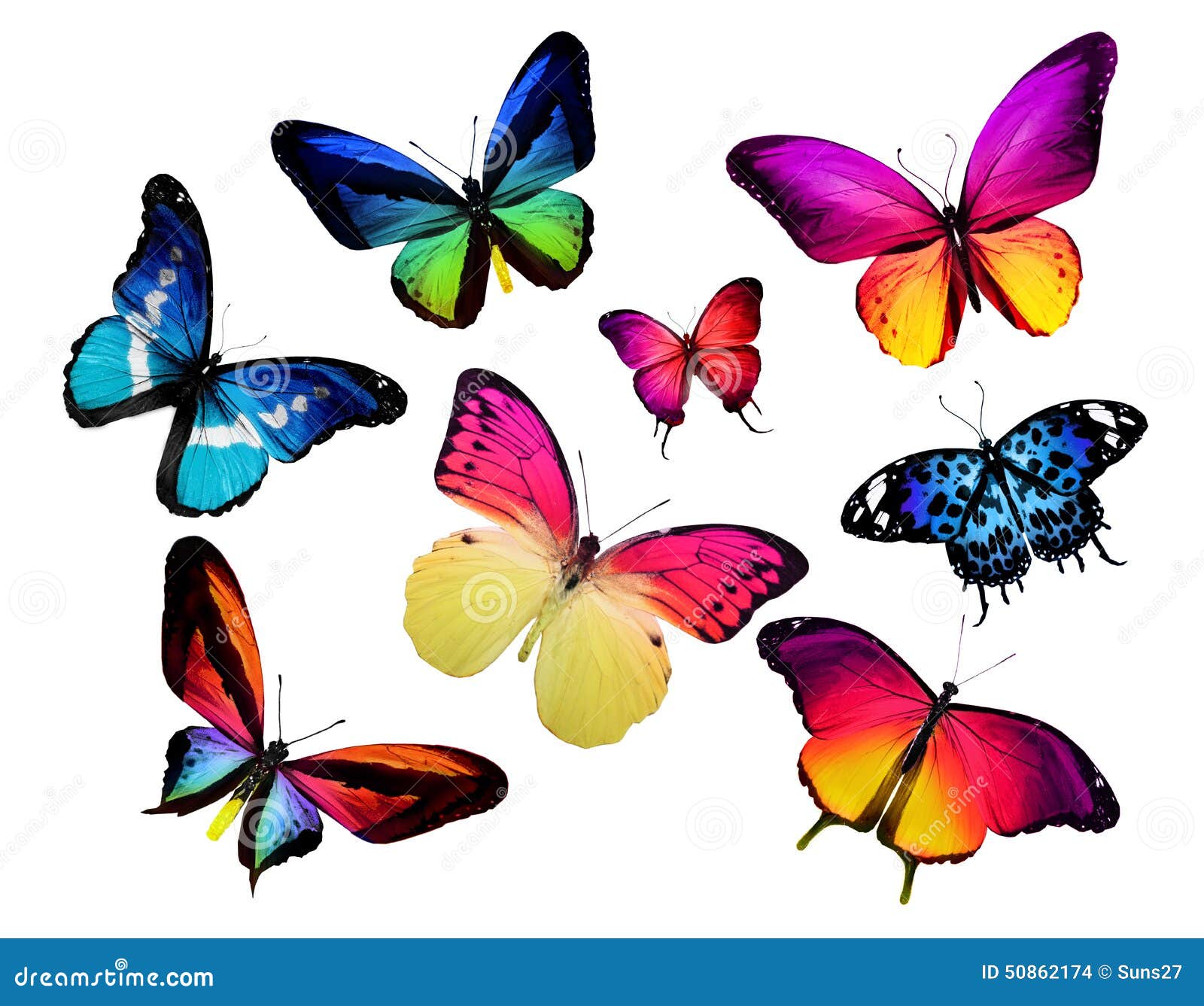 Many different butterflies stock photo. Image of abstract - 50862174