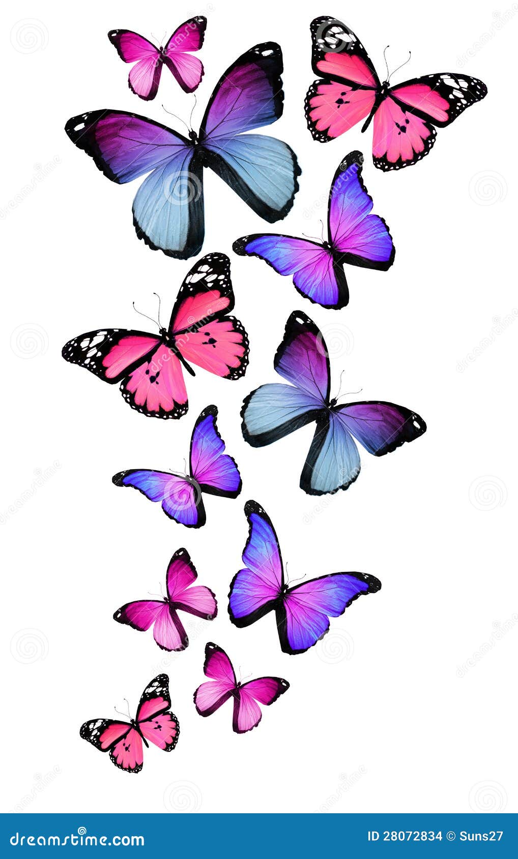 Many Different Butterflies on White Background Stock Illustration ...