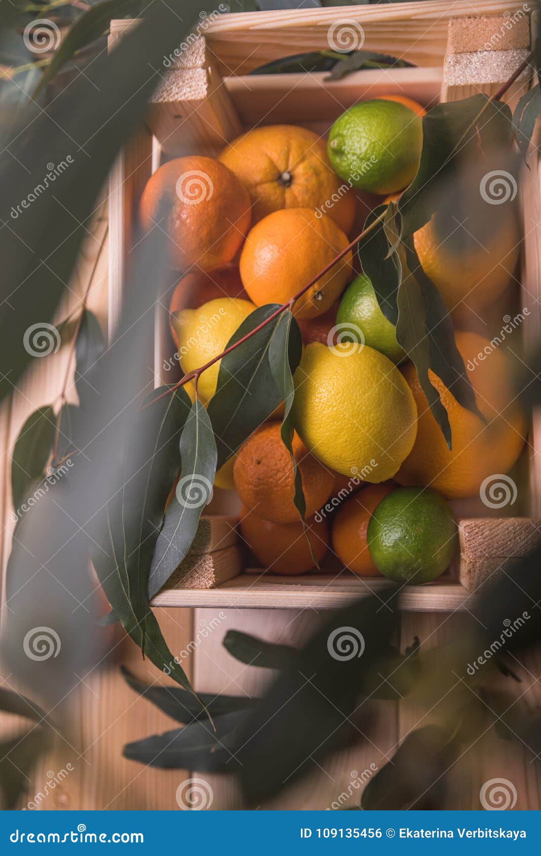 Citrus in box stock photo. Image of citrus, green, lemons - 109135456