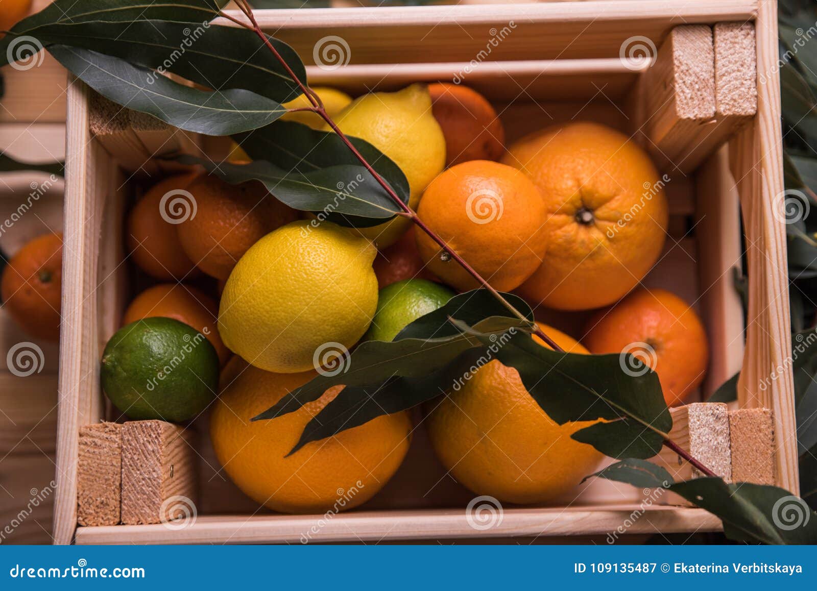 Citrus in box stock image. Image of background, orange - 109135487