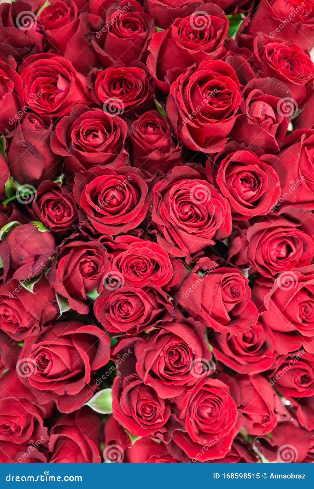 Many Different-colored Roses in a Bouquet on the Table Stock Image ...