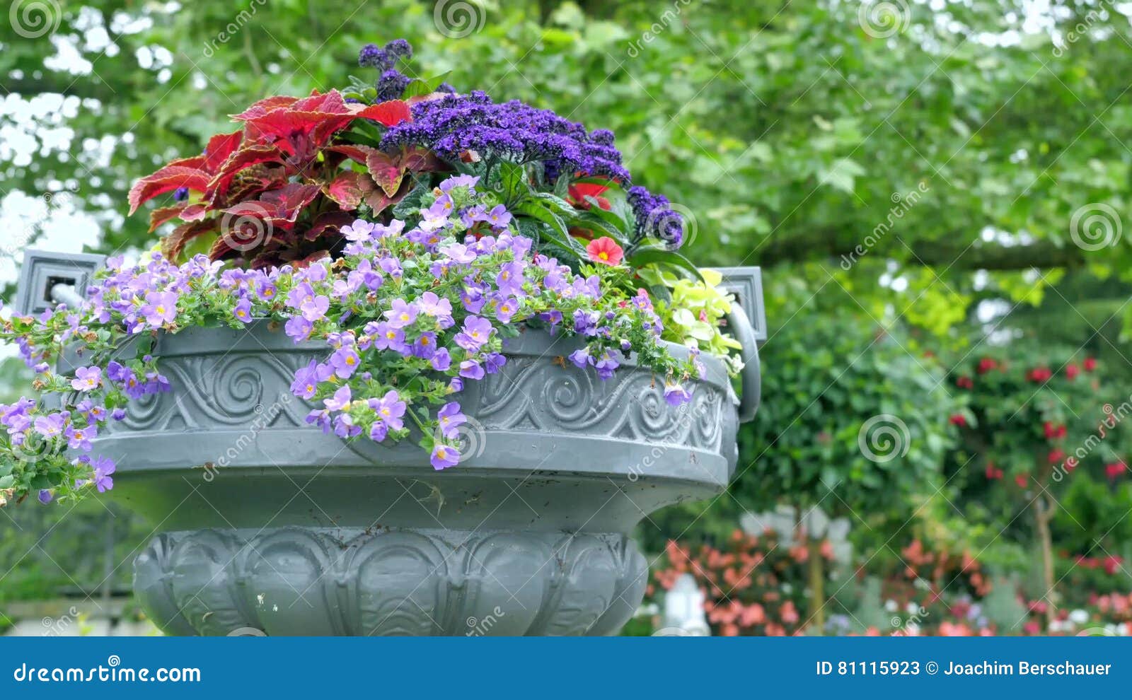 Many Different Colors in a Large Outdoor Pots Stock Image - Image of ...
