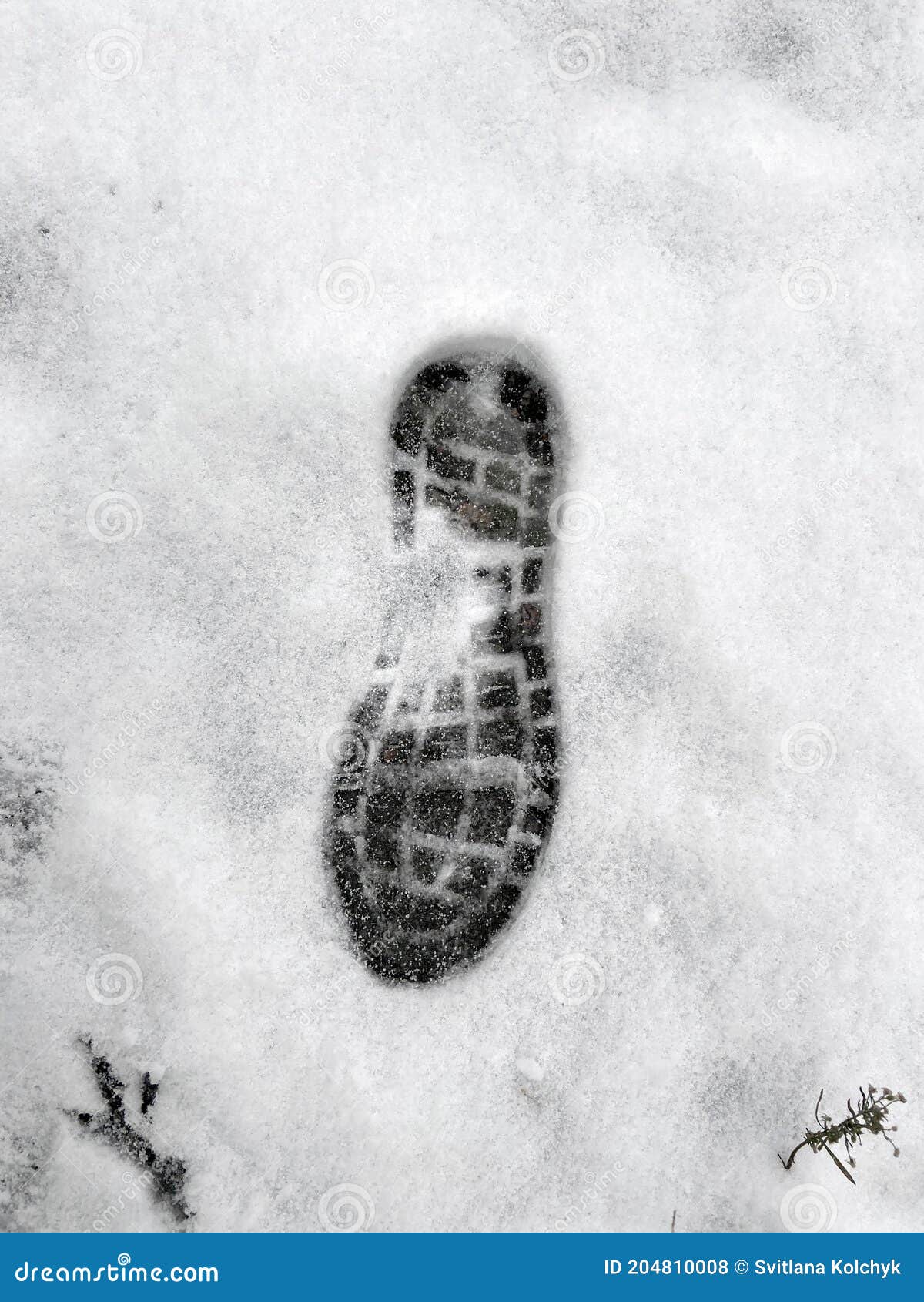Many Different Footprints in Snow, Closeup Stock Photo - Image of foot ...