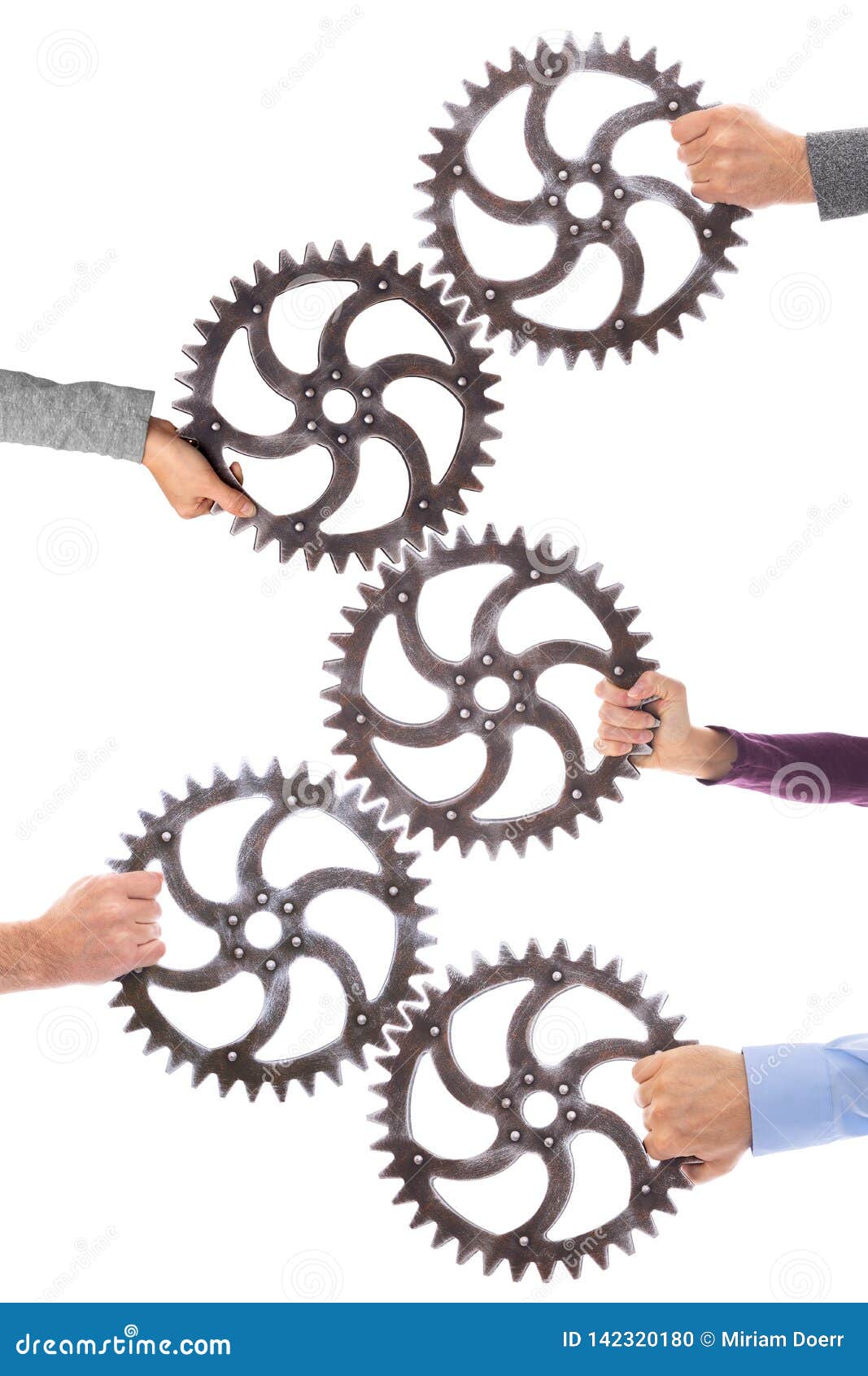 Many Different Hands Hold Gears that Mesh Stock Photo - Image of ...